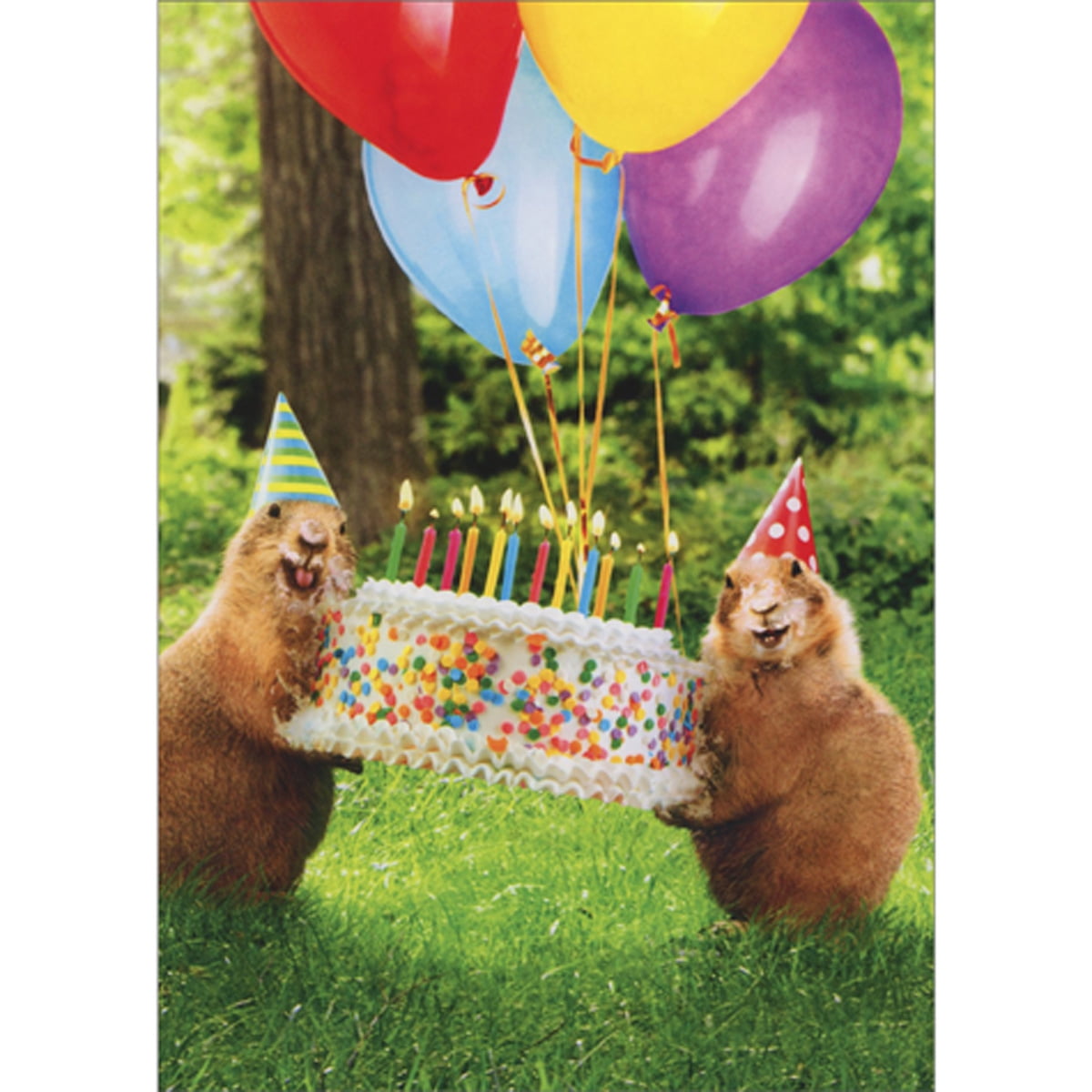 Avanti Press Two Prairie Dogs Carrying Cake and Balloons Funny ...