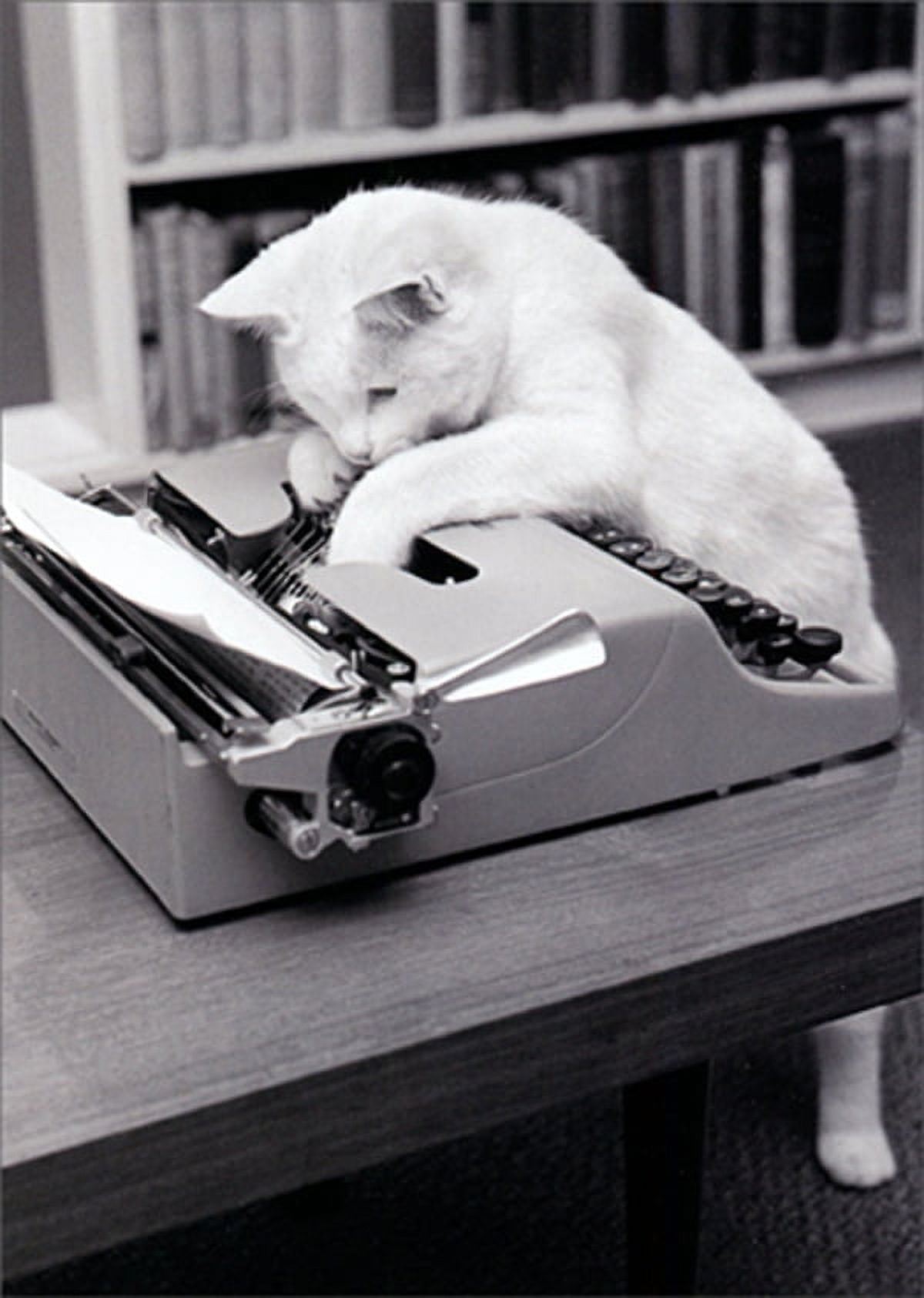 Avanti Press Typewriter Cat Humorous : Funny Birthday Card - Walmart.com