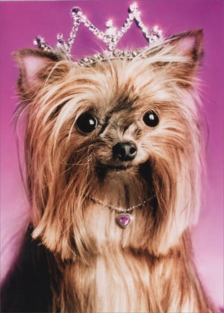 Avanti Press Yorkie Princess Dog Birthday Card - Walmart.com