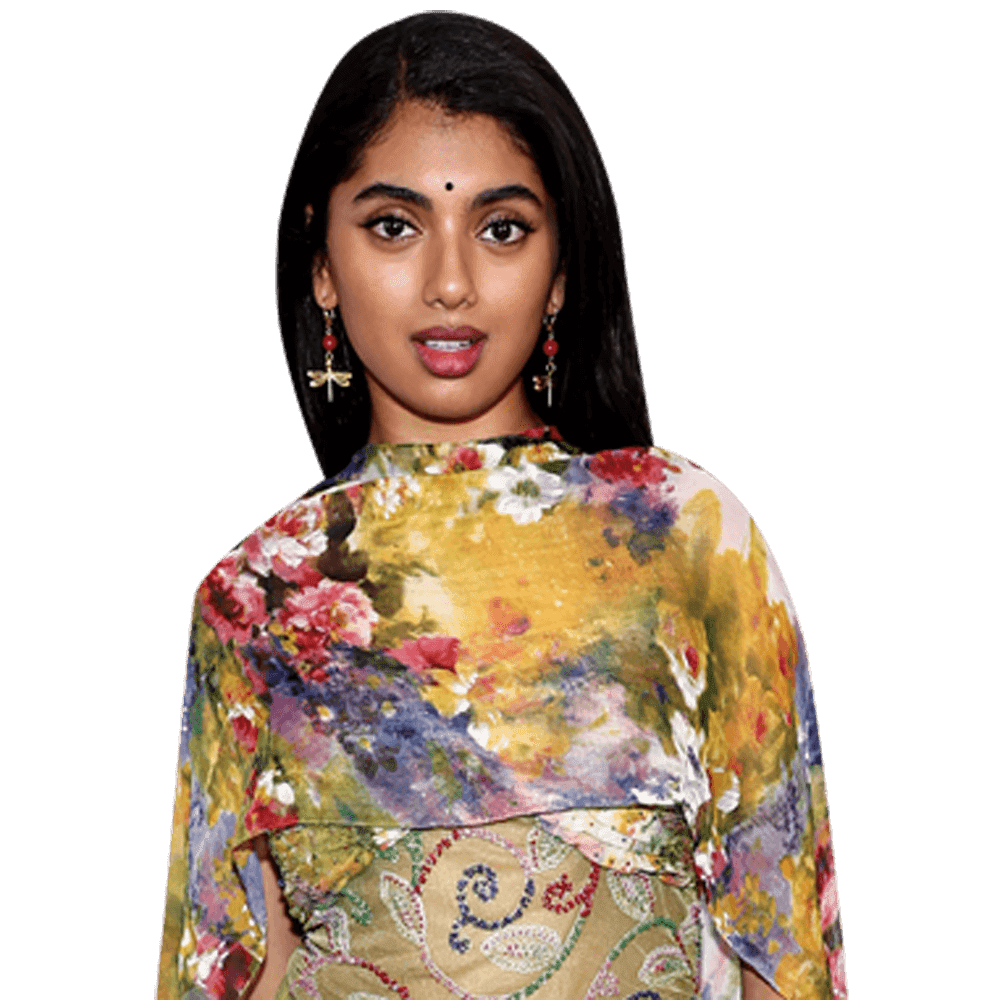 Avantika Vandanapu (Colourful) Half Body Buddy Cutout - Walmart.com