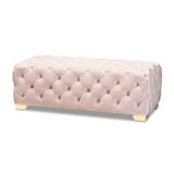 Avara Glam and Luxe Light Pink Velvet Fabric Upholstered Gold Finished ...