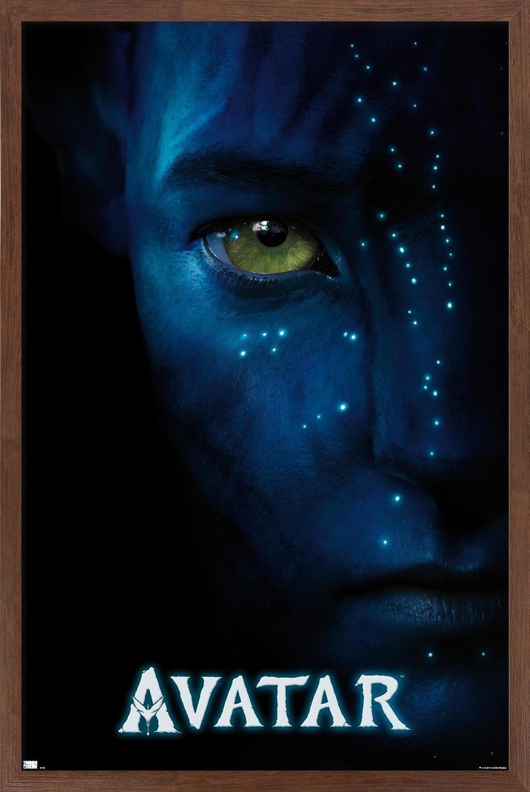Avatar - Jake Teaser One Sheet Wall Poster, 14.725 x 22.38 Framed ...