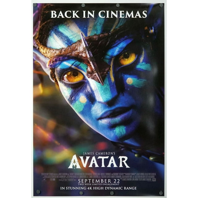 Avatar - Original Theatrical Movie Poster - 27x40 2 Sided INTL 2022 Rerelease - Walmart.com