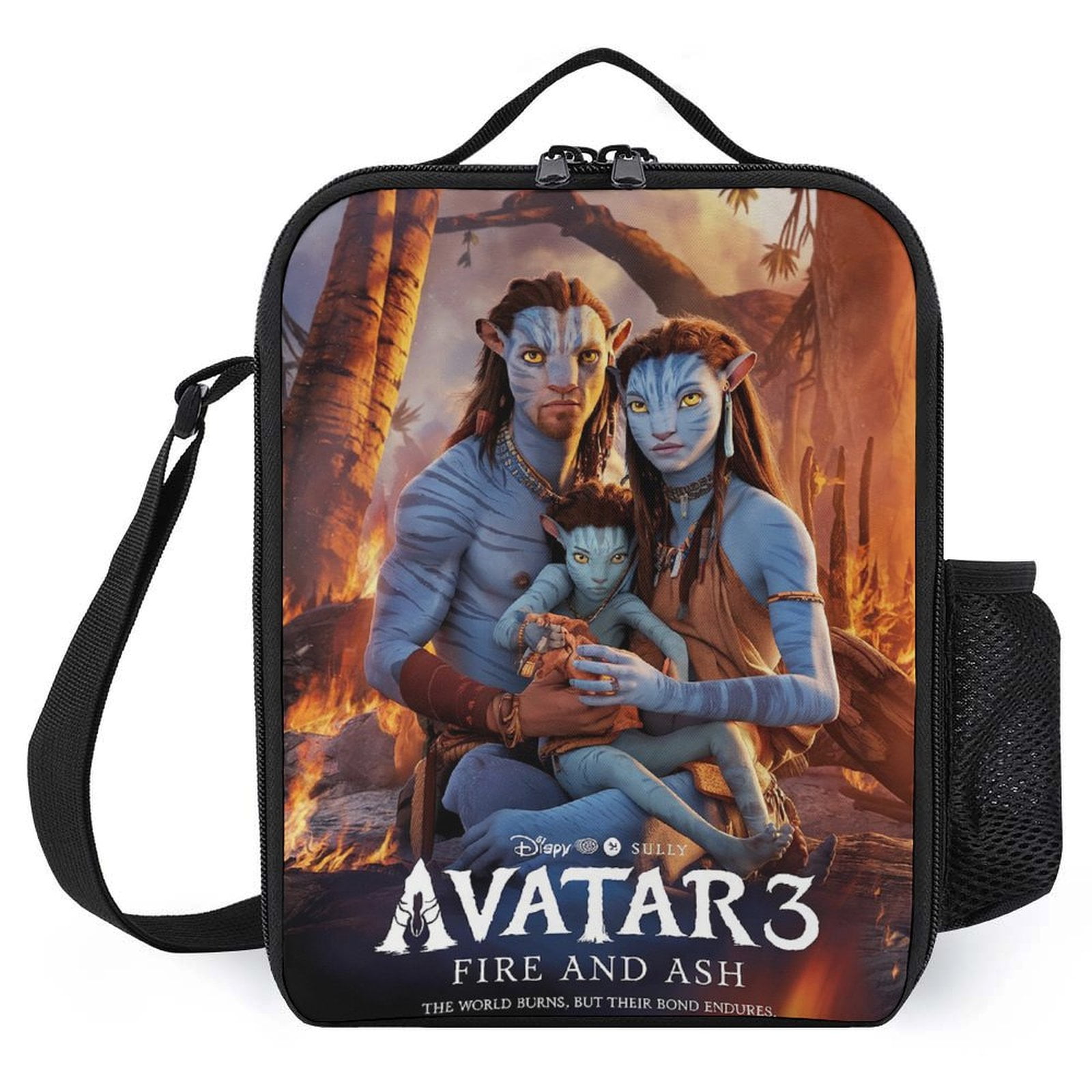Avatar Portable Lunch Bag, Insulated Lunch Box Reusable Lunch Totes Bag ...