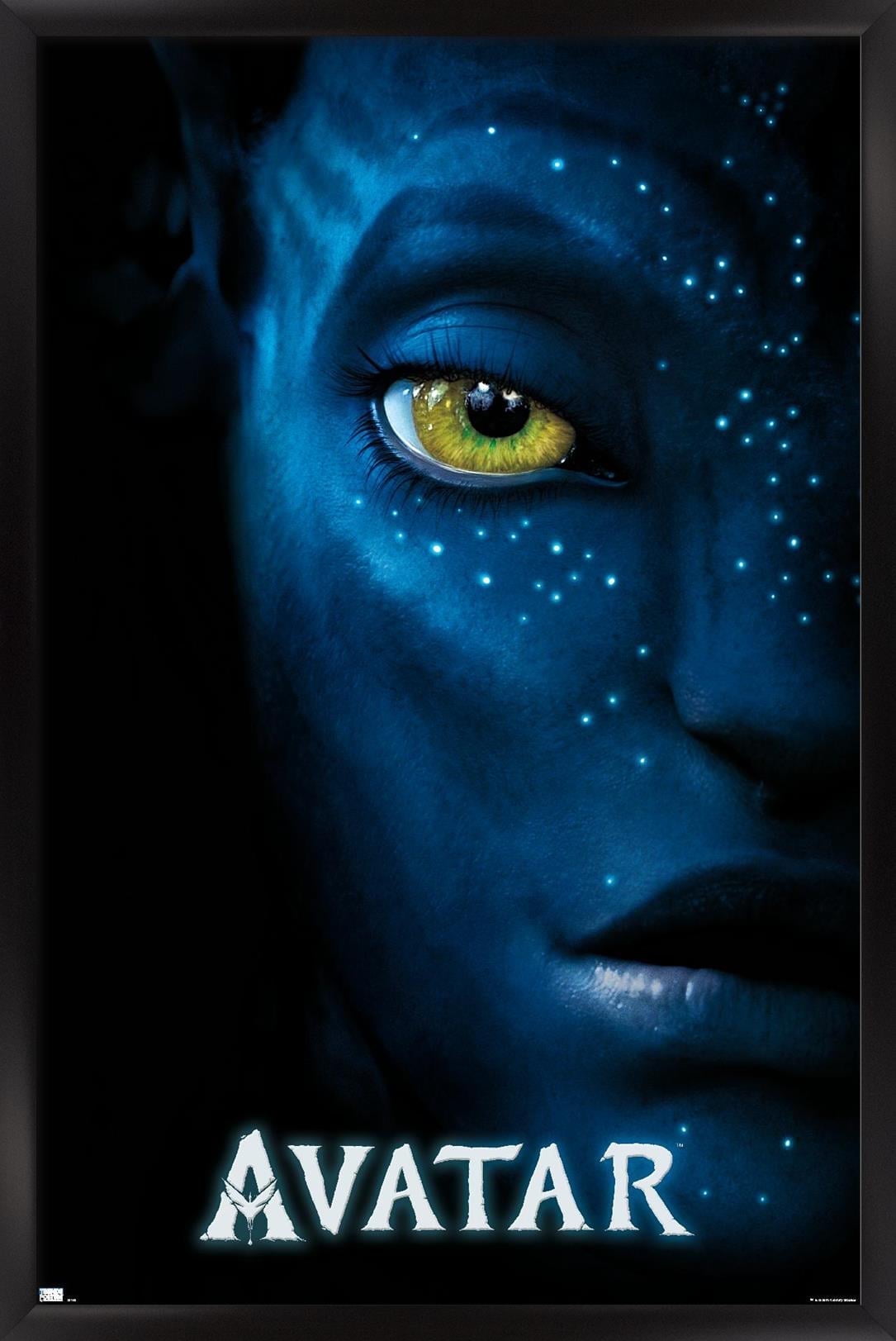 Avatar - Teaser One Sheet Wall Poster, 22.38 x 34 Framed - Walmart.com