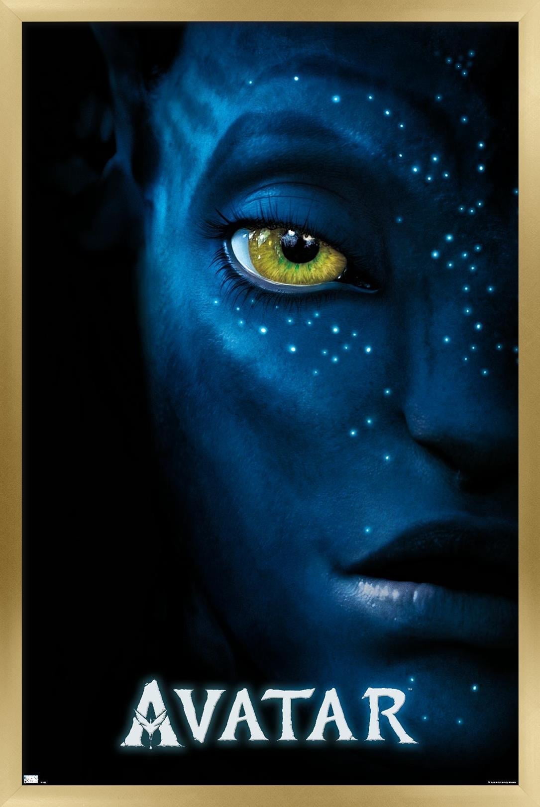 Avatar - Teaser One Sheet Wall Poster, 22.38 x 34 Framed - Walmart.com