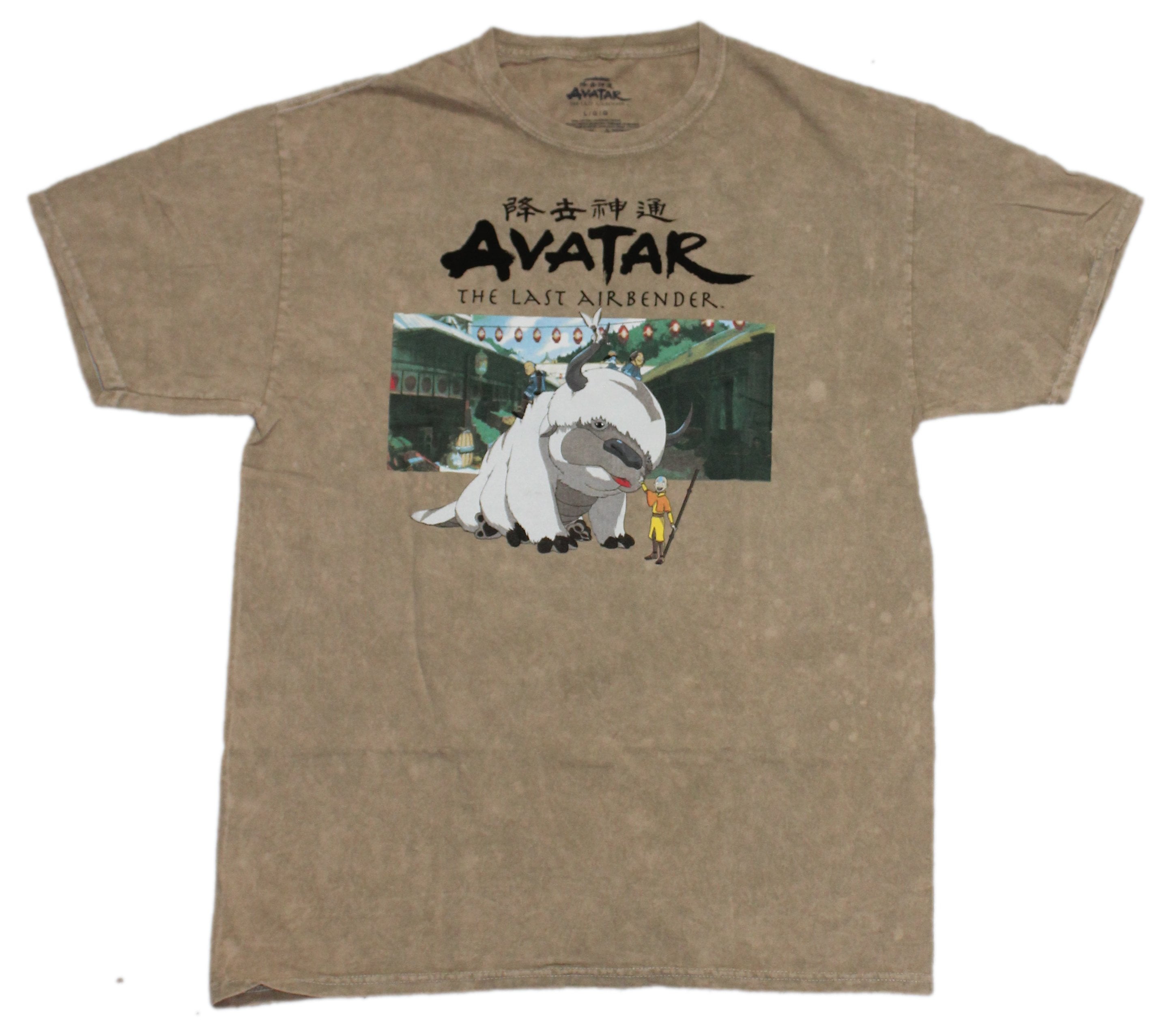 Avatar The LAst Airbender - Avatar Posed with Appa (Large) - Walmart.com