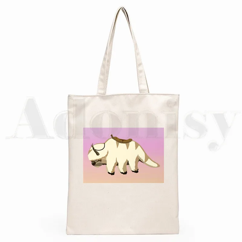 Avatar The Last Airbender Aang Appa Anime Badass New Art Canvas Bag ...