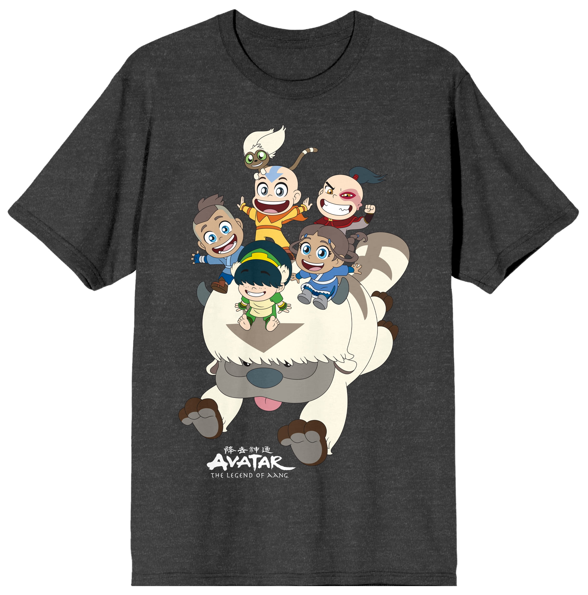 Avatar The Last Airbender Aang and Friends Men's Charcoal T-shirt-XXL ...
