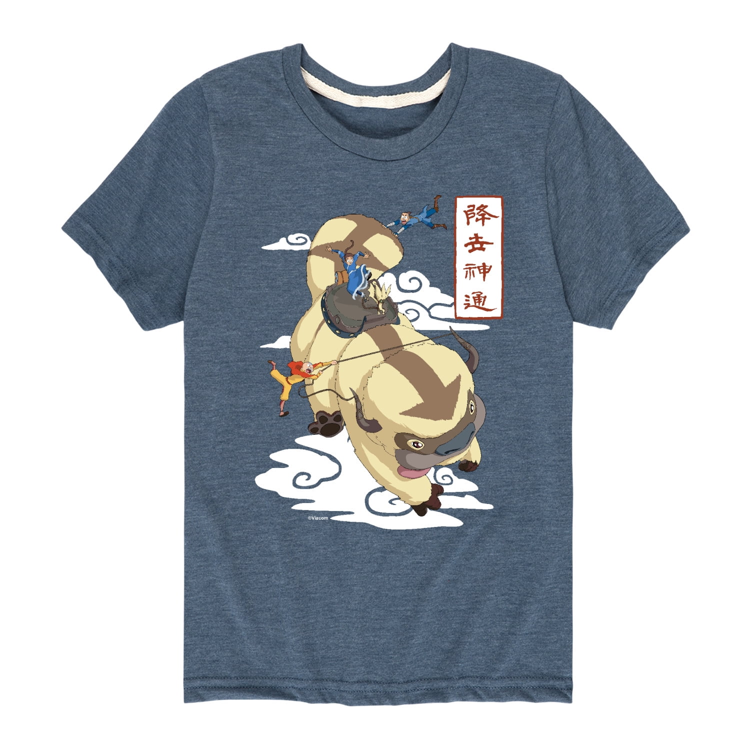 Avatar: The Last Airbender - Appa Flying - Kids YOUTH SHORT SLEEVE TEE ...
