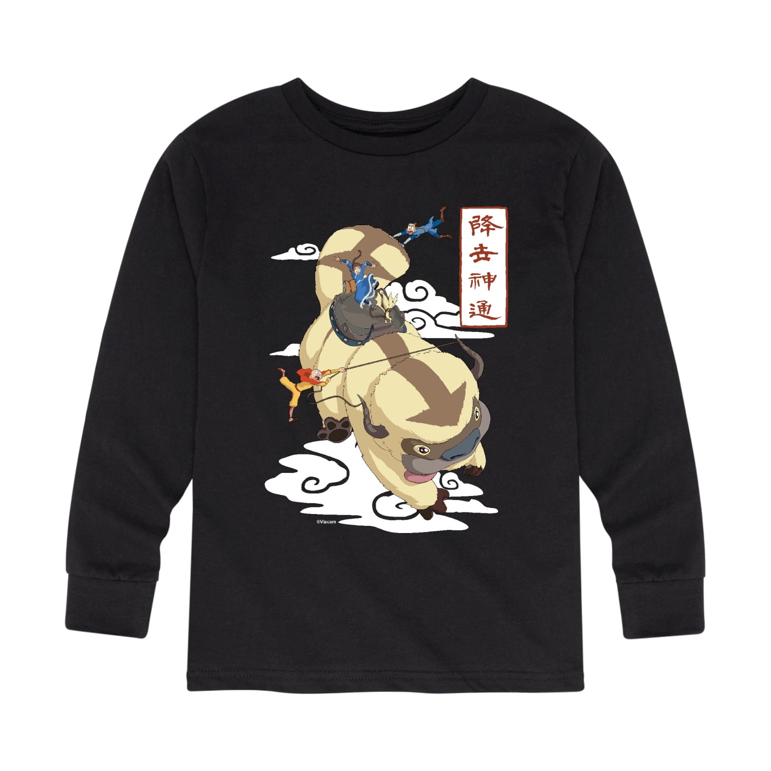 Avatar: The Last Airbender - Appa Flying - Youth Long Sleeve Graphic T ...
