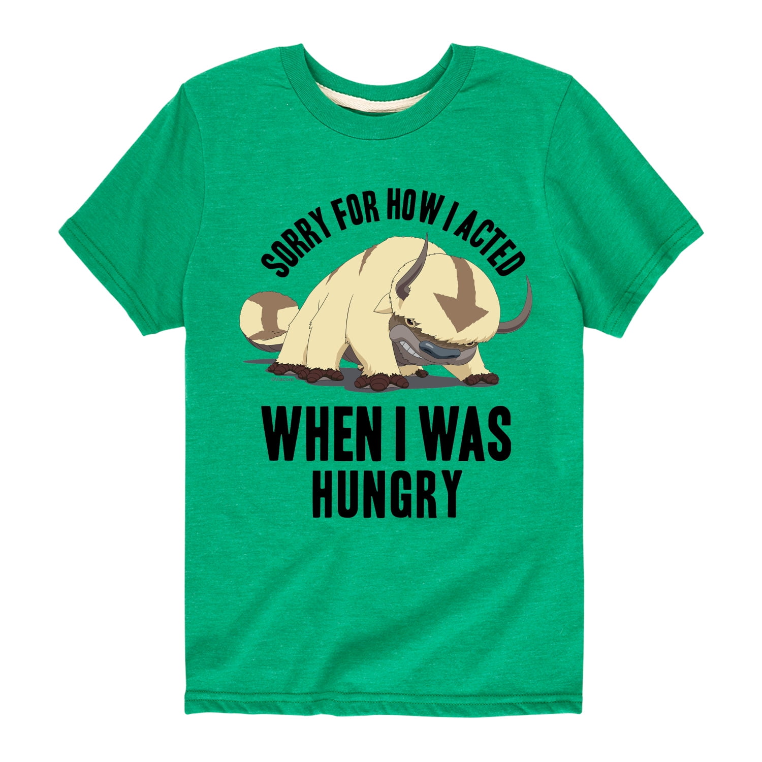 Avatar: The Last Airbender - Appa Hungry - Kids YOUTH SHORT SLEEVE TEE - Walmart.com