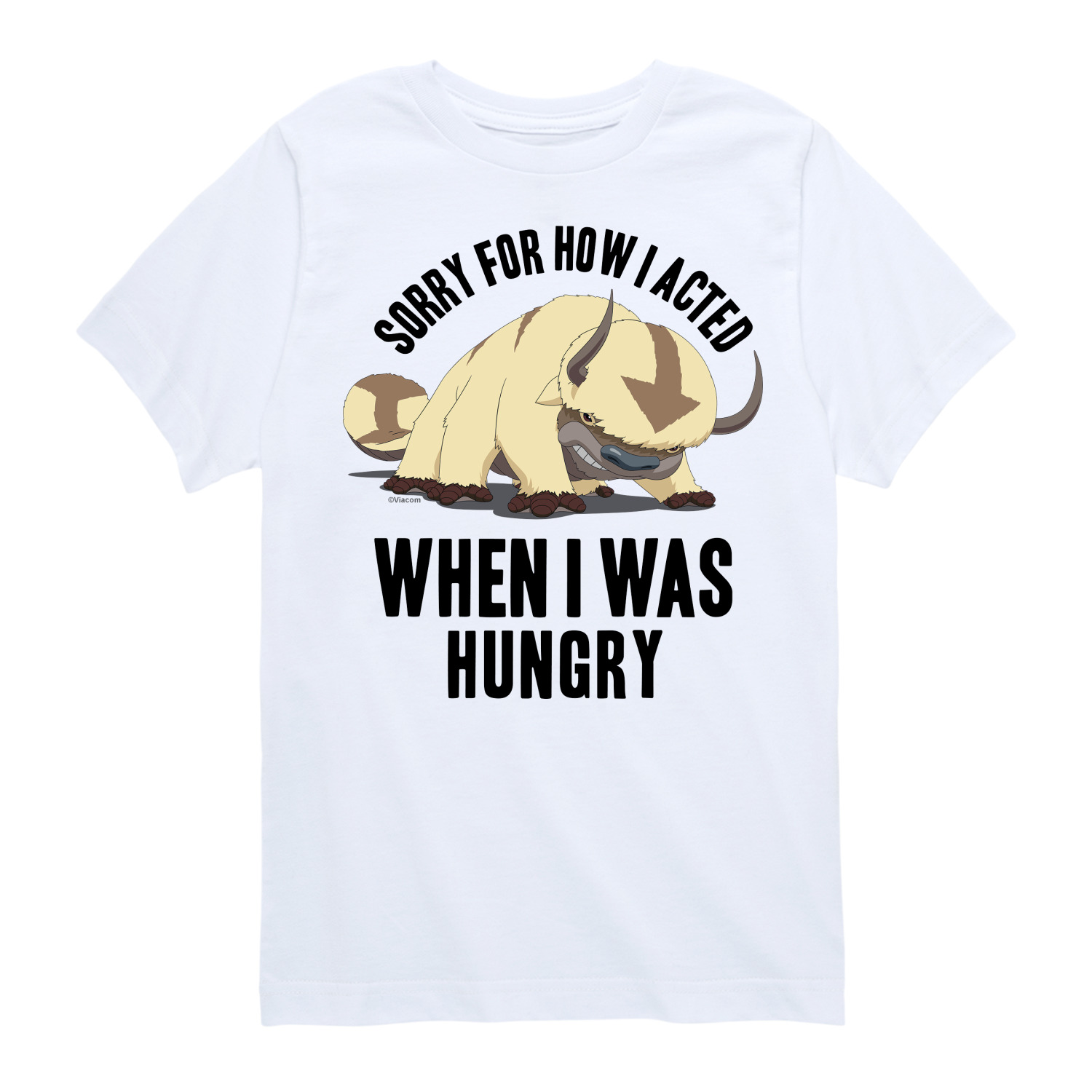 Avatar: The Last Airbender - Appa Hungry - Kids YOUTH SHORT SLEEVE TEE - Walmart.com