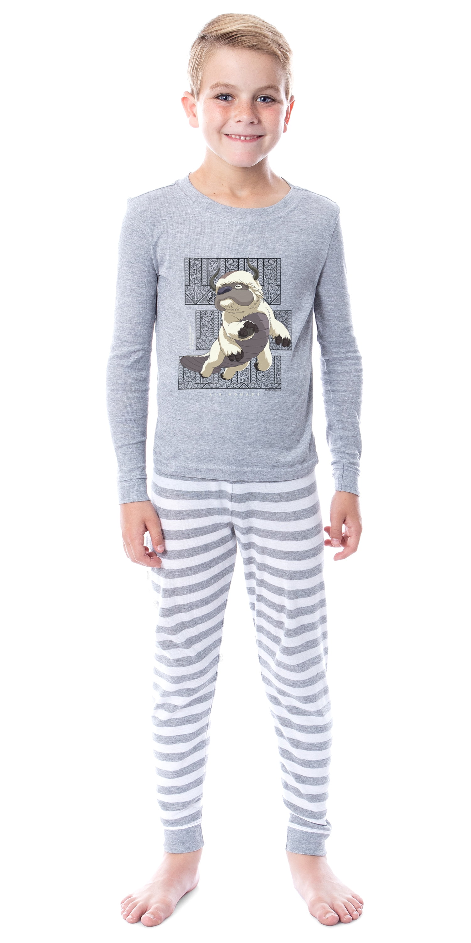 Avatar: The Last Airbender Appa Kids' 2PC Tight-Fit Long-Sleeve Pajama ...