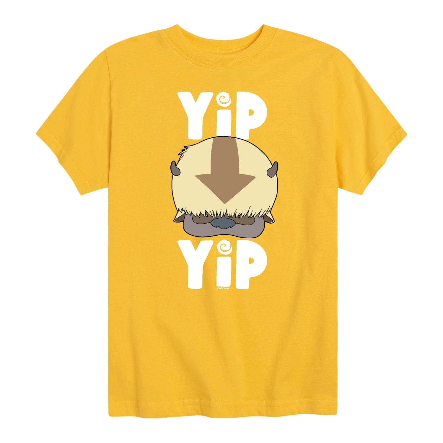 Avatar - The Last Airbender - Cute Appa Yip Yip - Kids YOUTH SHORT SLEEVE TEE - Walmart.com