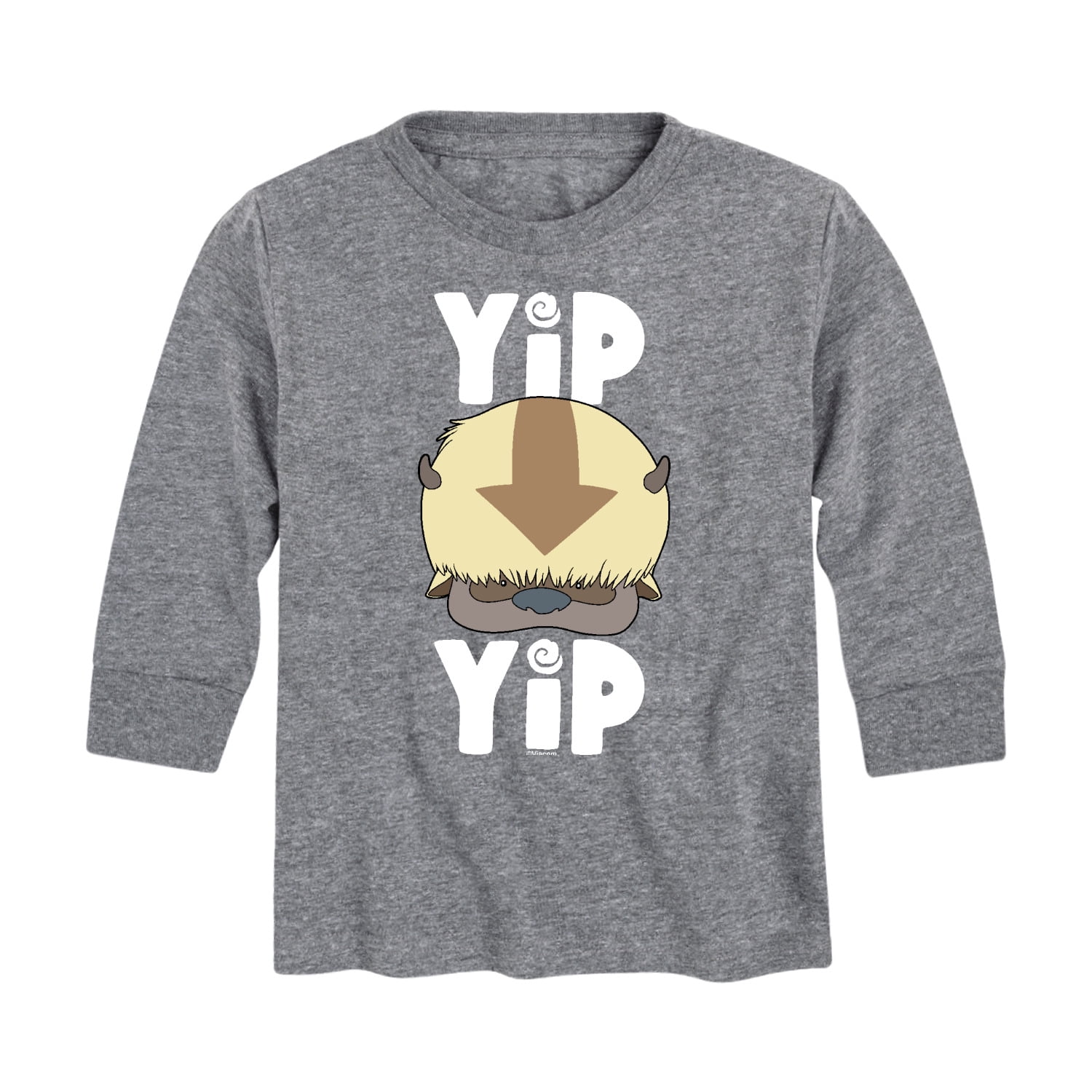 Avatar: The Last Airbender - Cute Appa Yip Yip - Youth Long Sleeve Graphic T-Shirt - Walmart.com
