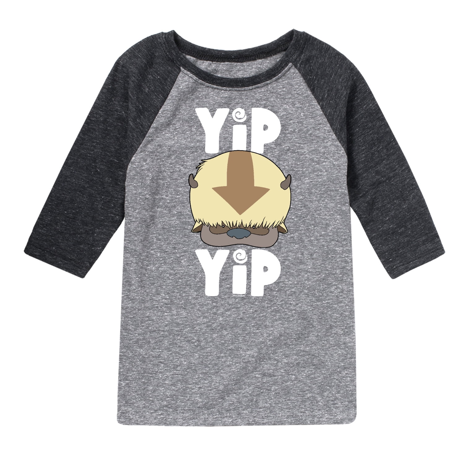 Avatar: The Last Airbender - Cute Appa Yip Yip - Youth Raglan Graphic T ...