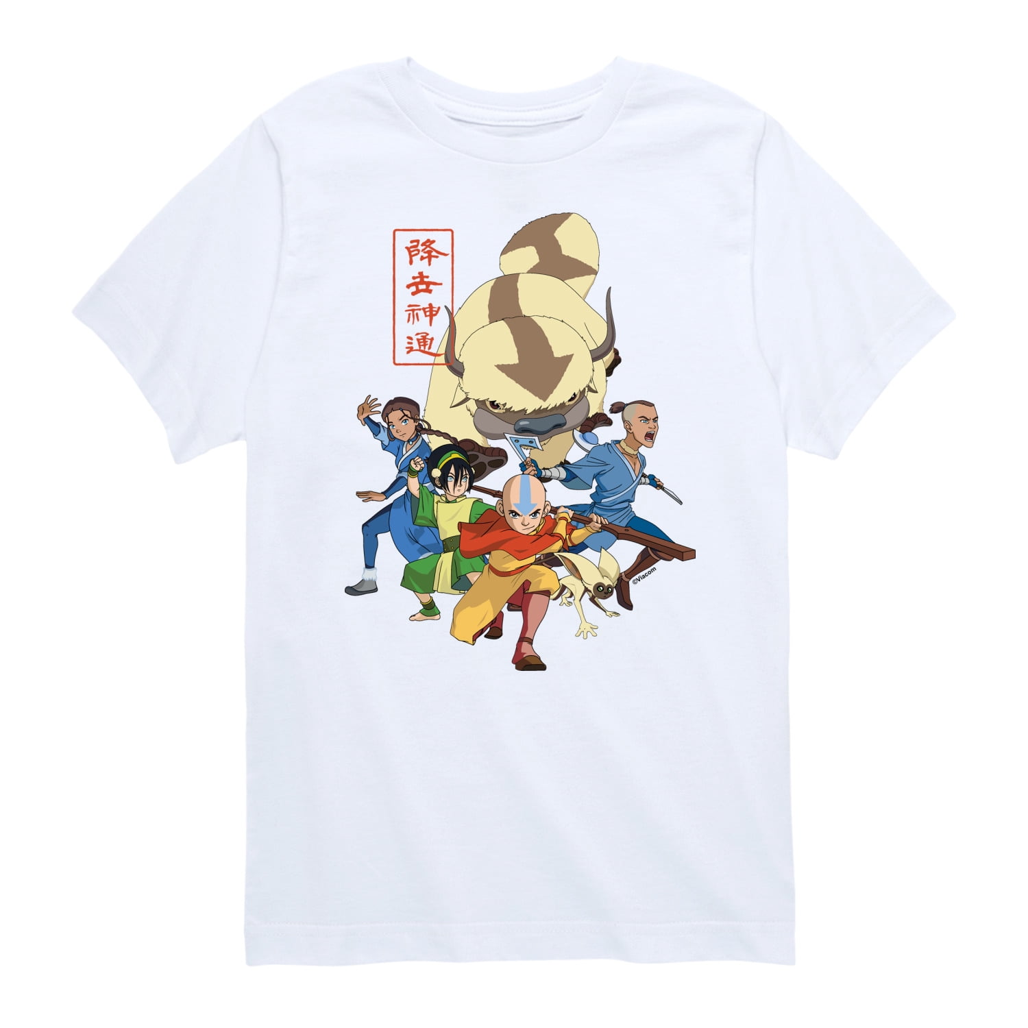 Avatar - The Last Airbender - Kanji Aang - Youth Boys Short Sleeve ...