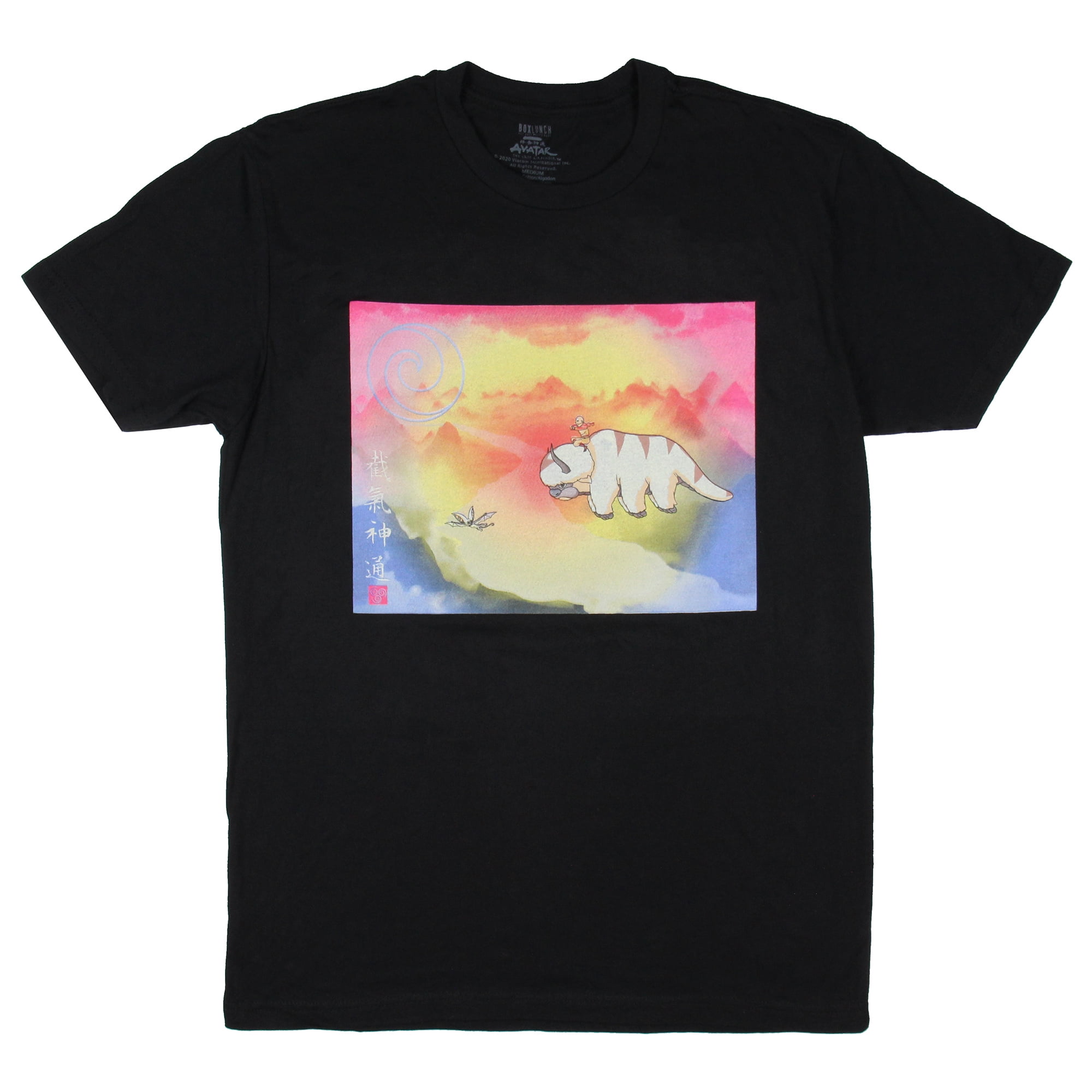 Avatar The Last Airbender Men's Appa Aang Momo Flying Valley T-Shirt ...