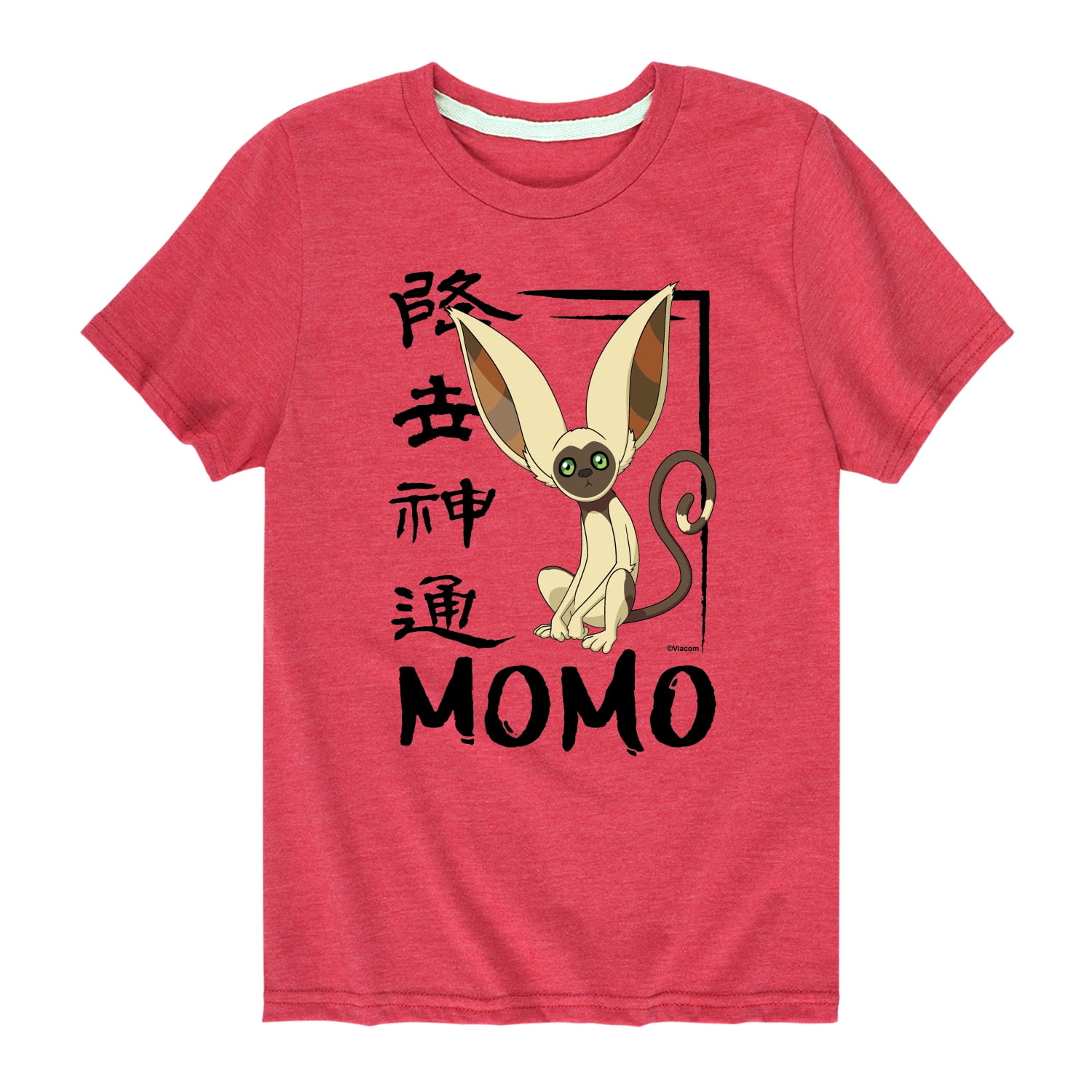Avatar: The Last Airbender - Momo Cute - Kids YOUTH SHORT SLEEVE TEE ...