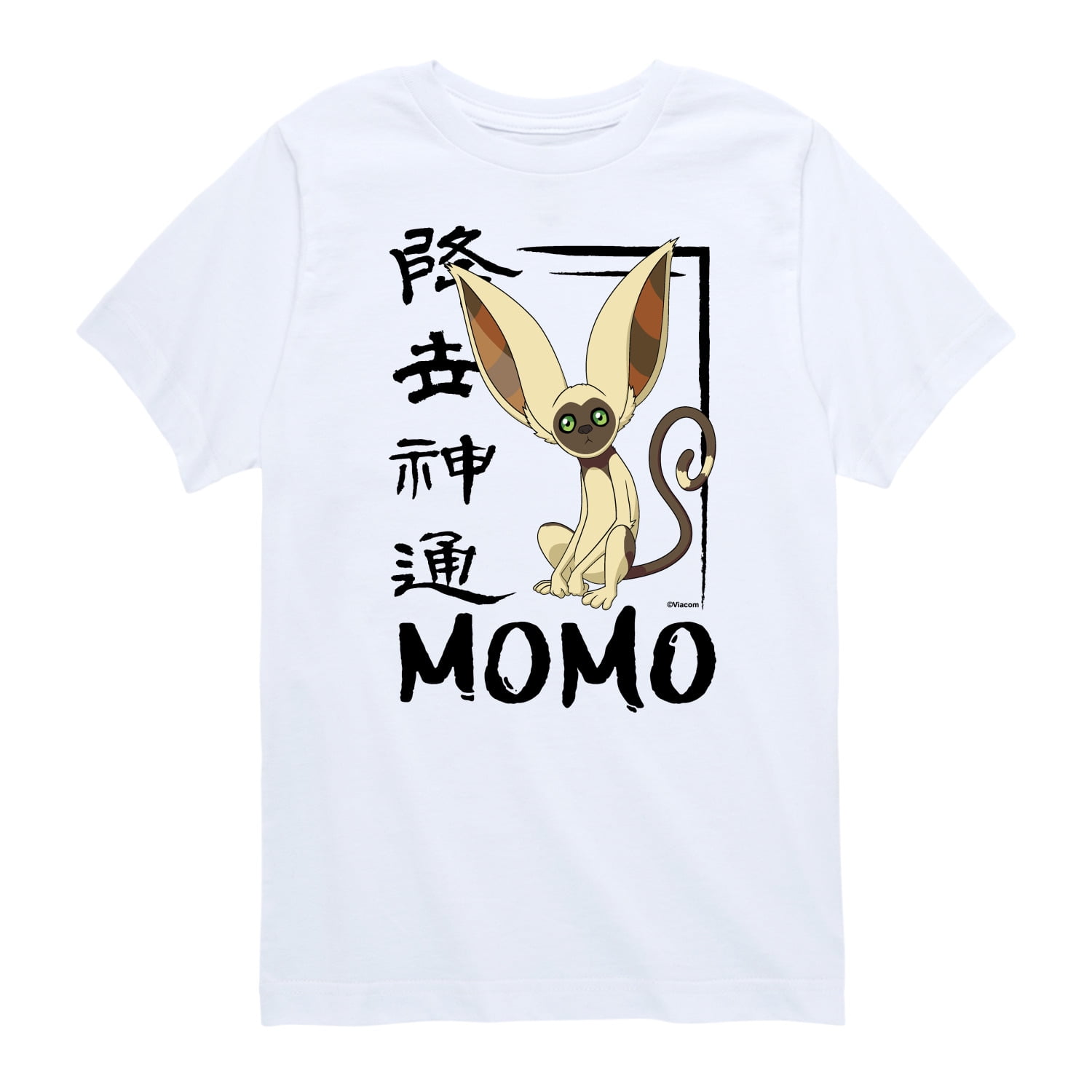 Avatar: The Last Airbender - Momo Cute - Kids YOUTH SHORT SLEEVE TEE ...