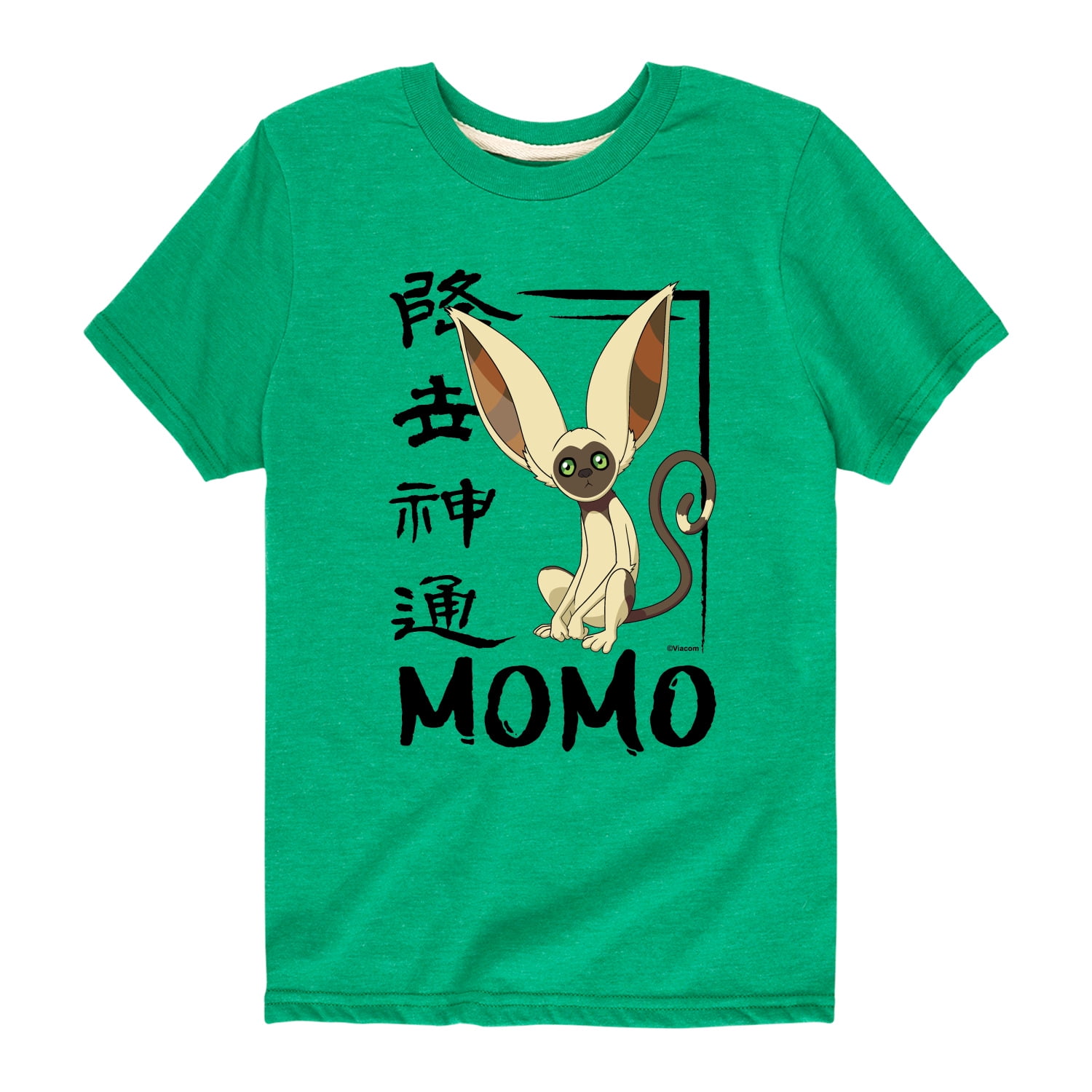Avatar: The Last Airbender - Momo Cute - Kids YOUTH SHORT SLEEVE TEE ...