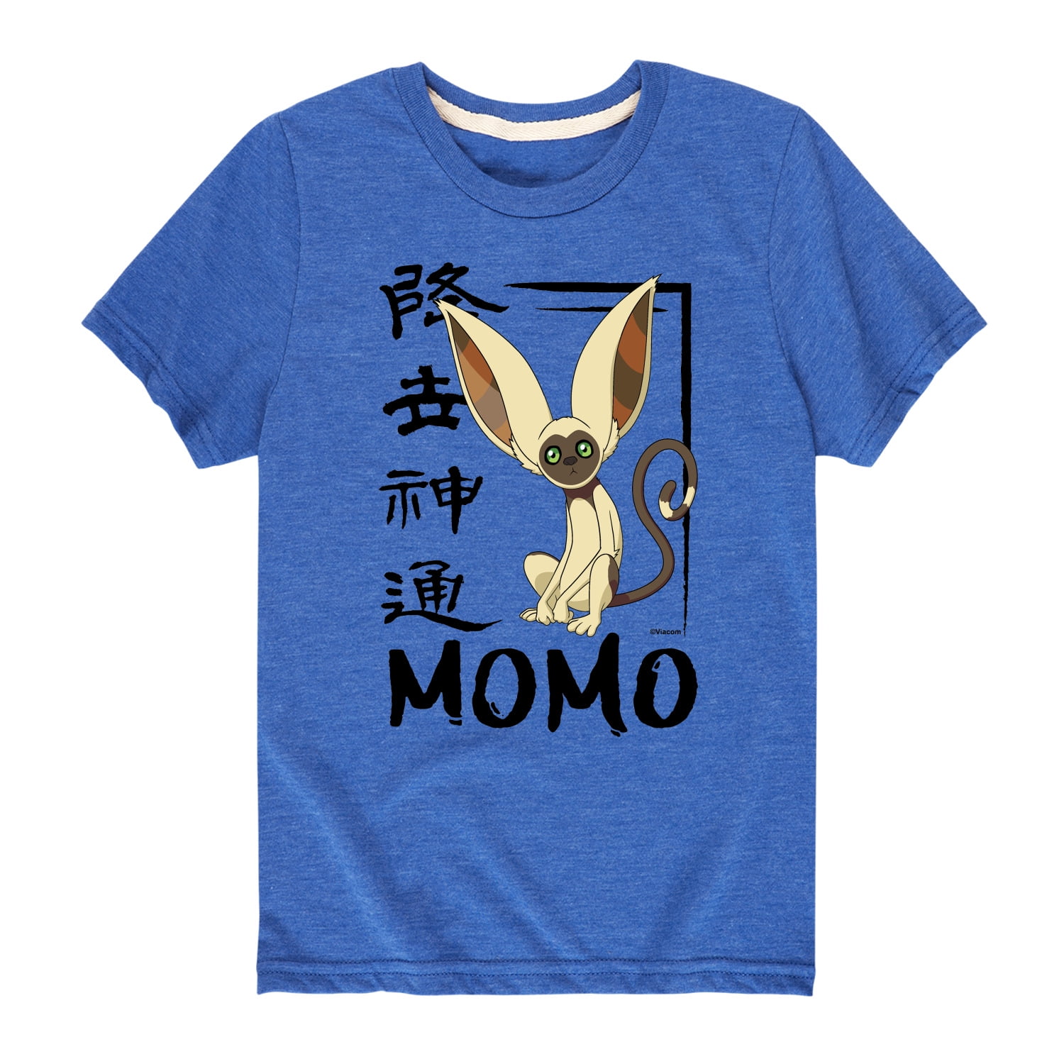 Avatar - The Last Airbender - Momo Cute - Kids YOUTH SHORT SLEEVE TEE ...