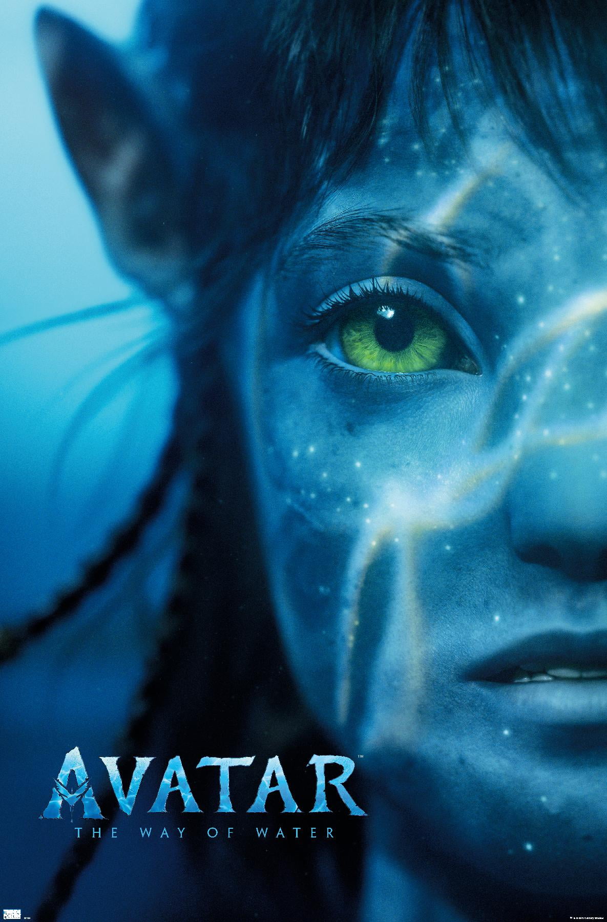 Avatar Poster