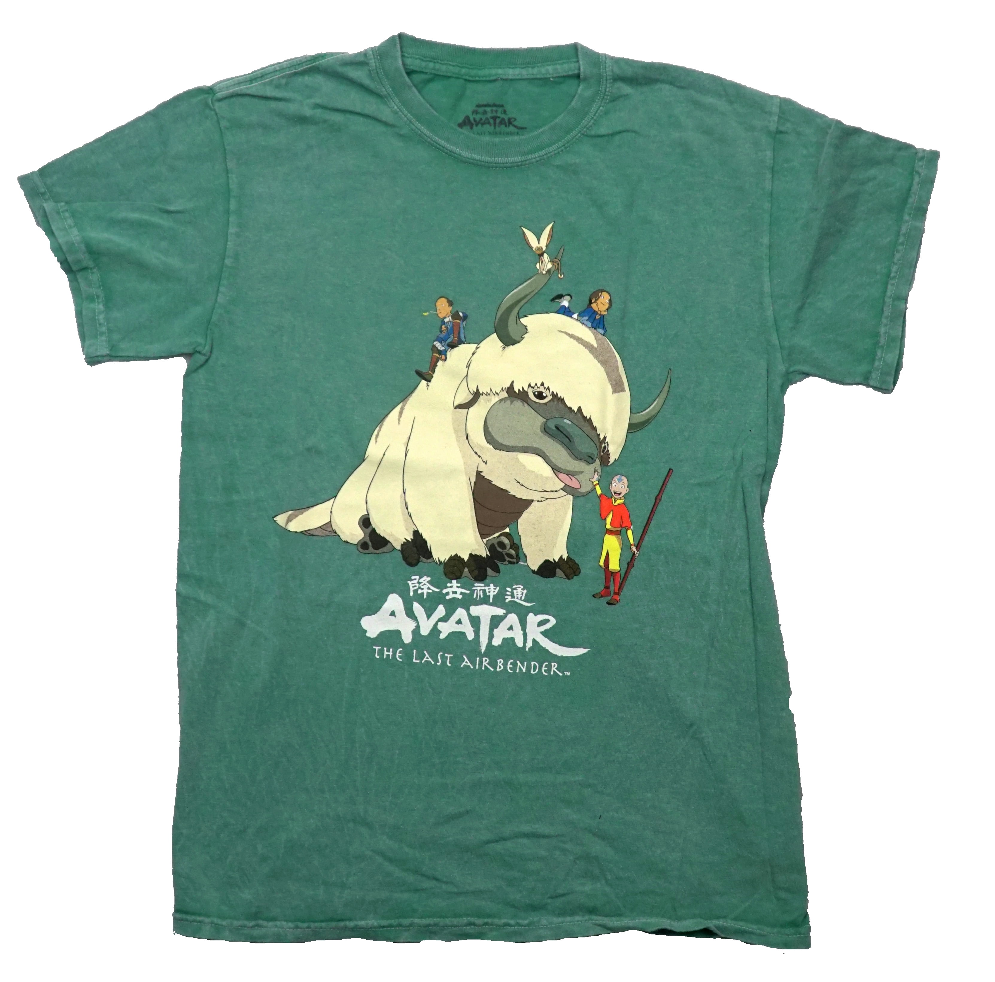 Avatar the Last Airbender Mens T-Shirt - Aang & Gang Sitting on Apa (X ...