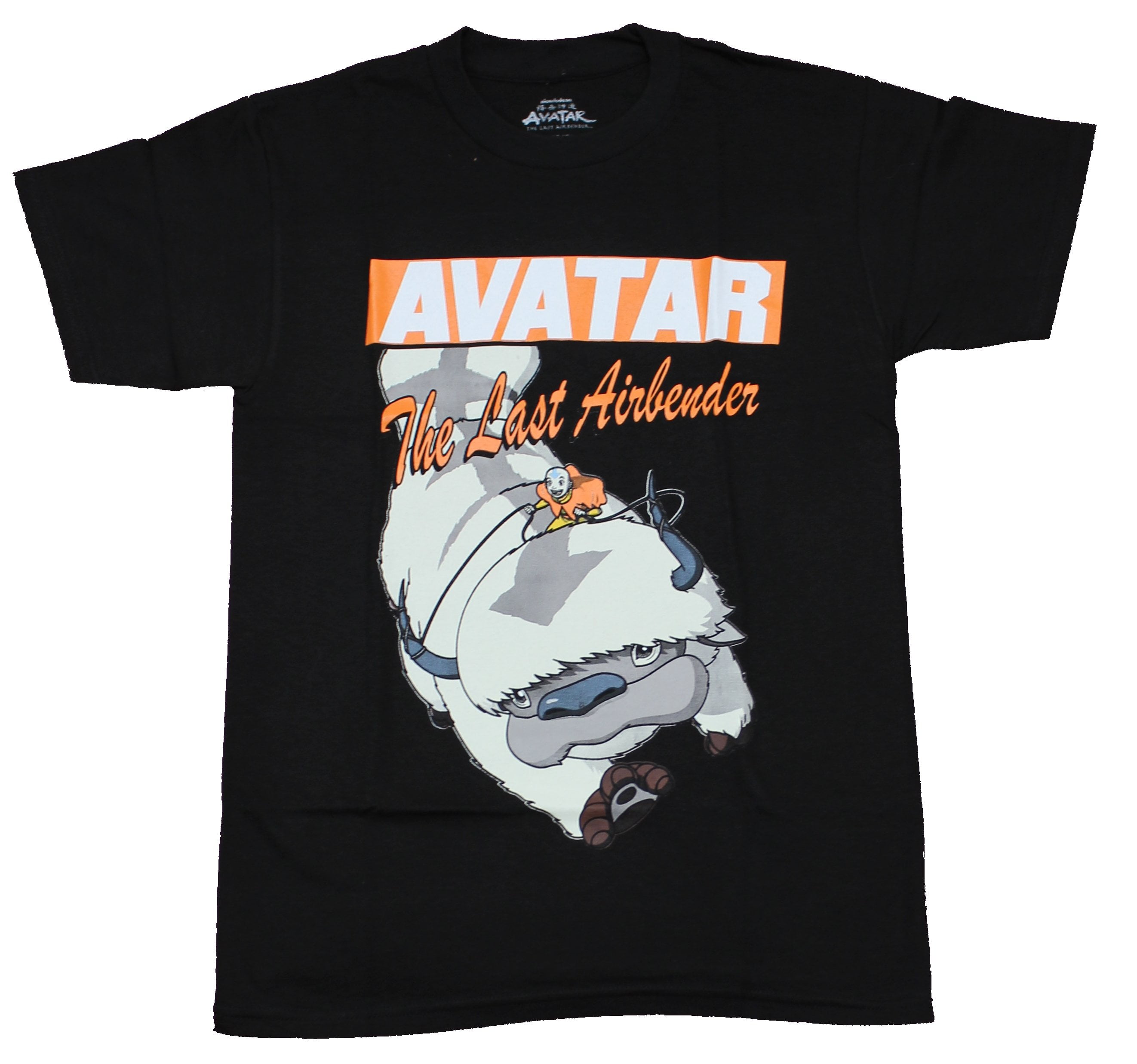 Avatar the Last Airbender Mens T-Shirt - Aang Riding Appa Image (X ...