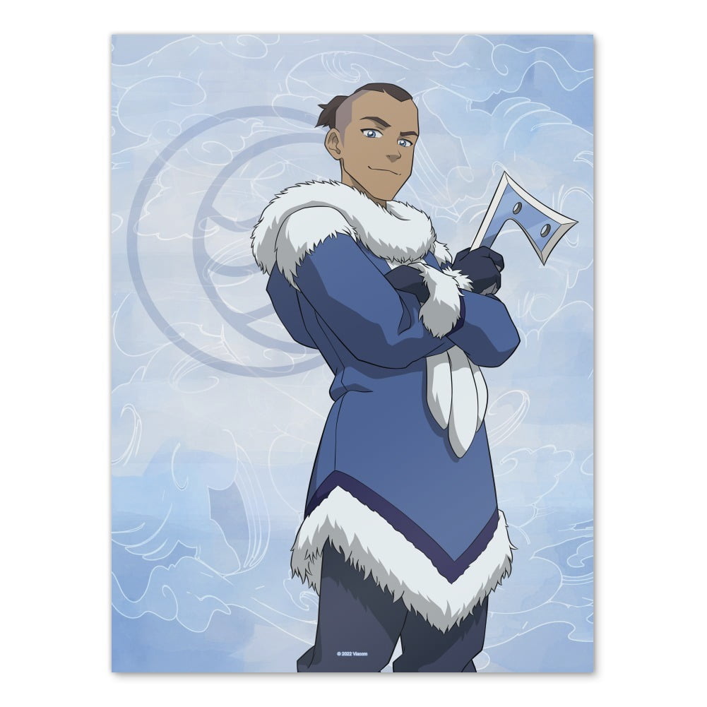 Avatar the Last Airbender Sokka Wall Art Picture Paper Poster Décor ...