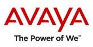 Avaya ENT 700289770 IP400 Power Lead Sm Off,406v2 Sml Ofc, 406v2, V2 ...