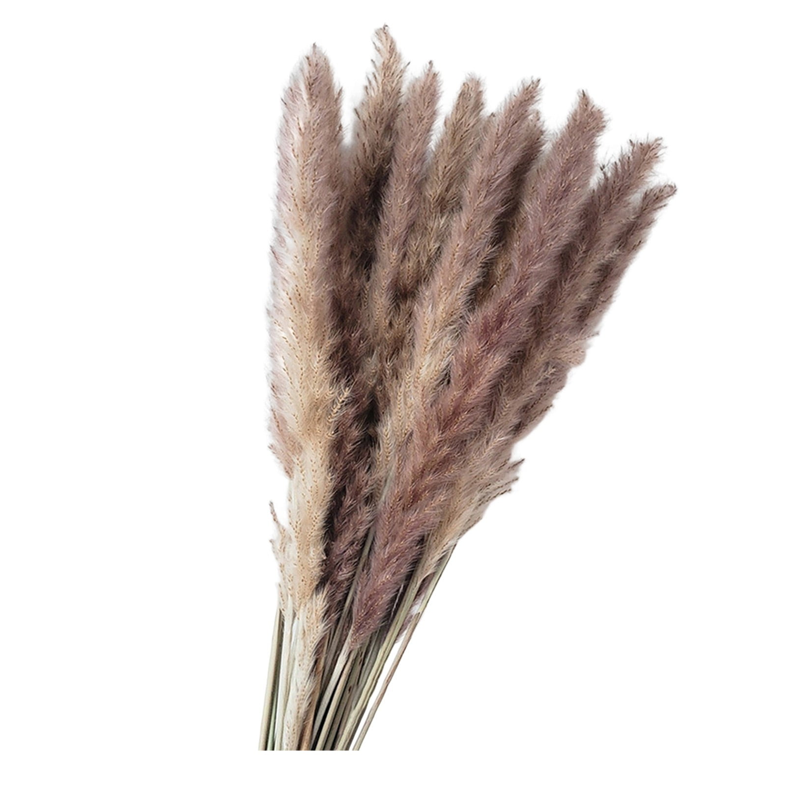Avdjesfny 30 Stems Home Decor - Natural Dried Pampas Grass, Fluffy ...