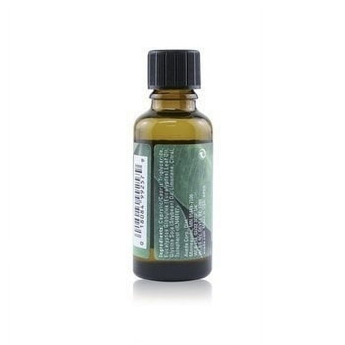 Aveda Essential Oil + Base - Eucalyptus 30ml/1oz - Walmart.com