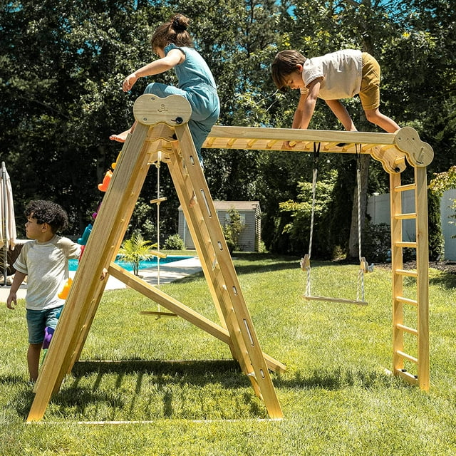 Free Shipping! Avenlur 7-in-1 Toddler's Indoor/Outdoor Jungle Gym ...