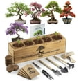 Avergo Bonsai Tree Kit DHF10 - 5X Unique Japanese Bonzai Trees ...