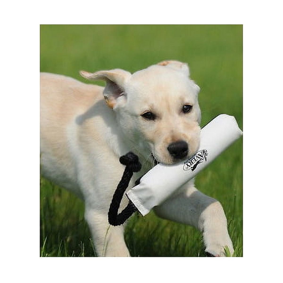 AVERY 2" Canvas Bumper/White (02760) - Walmart.com