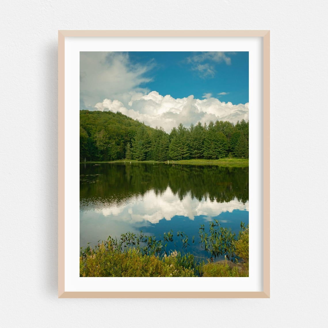 Averys Place New York Forest Poster Unframed Paper Print - Walmart.com