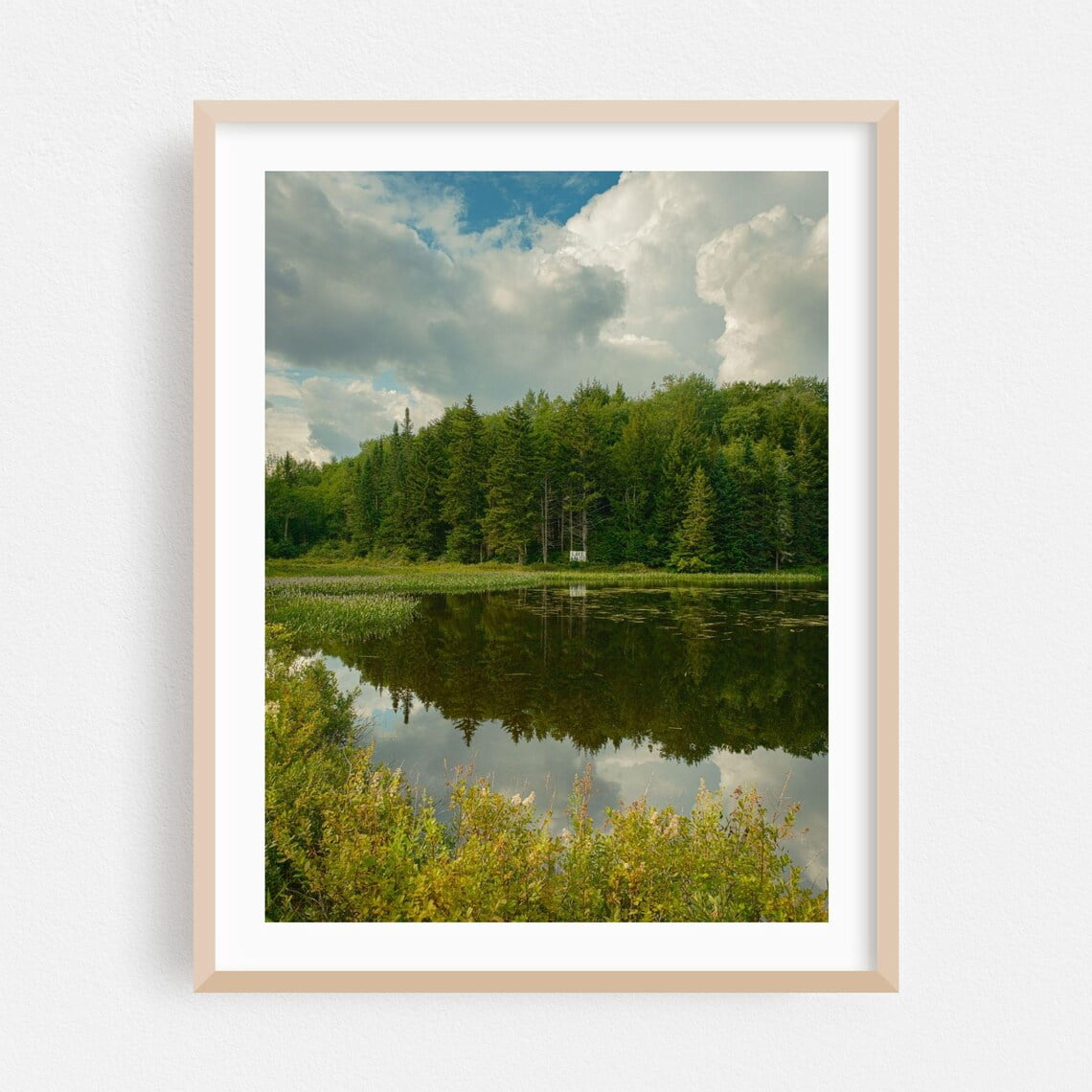 Averys Place New York Nature Forest Landscape Scenic Fine Lake Summer ...