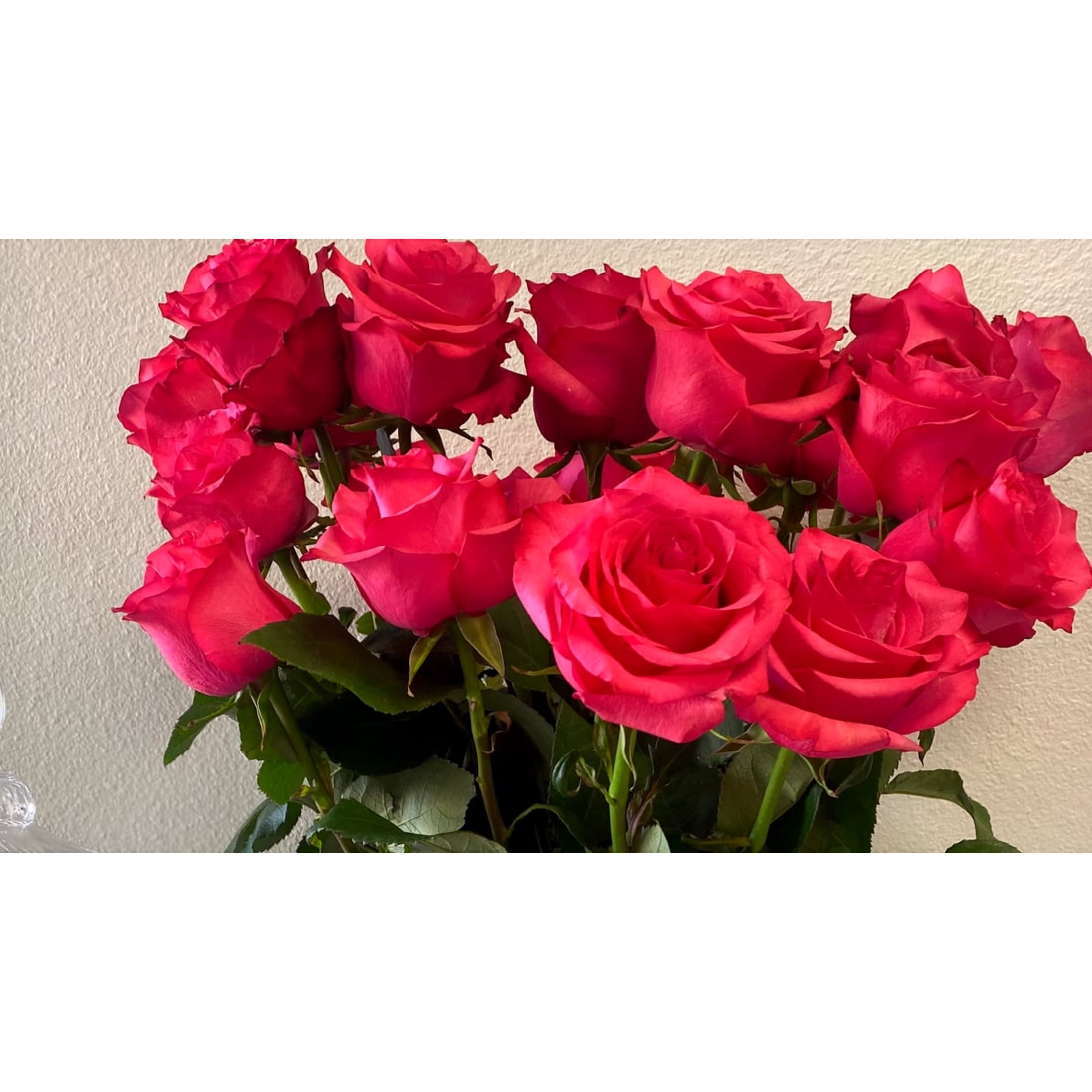 Avi Flower Shop - Classic Hot Pink Roses - 12 Roses - Walmart.com