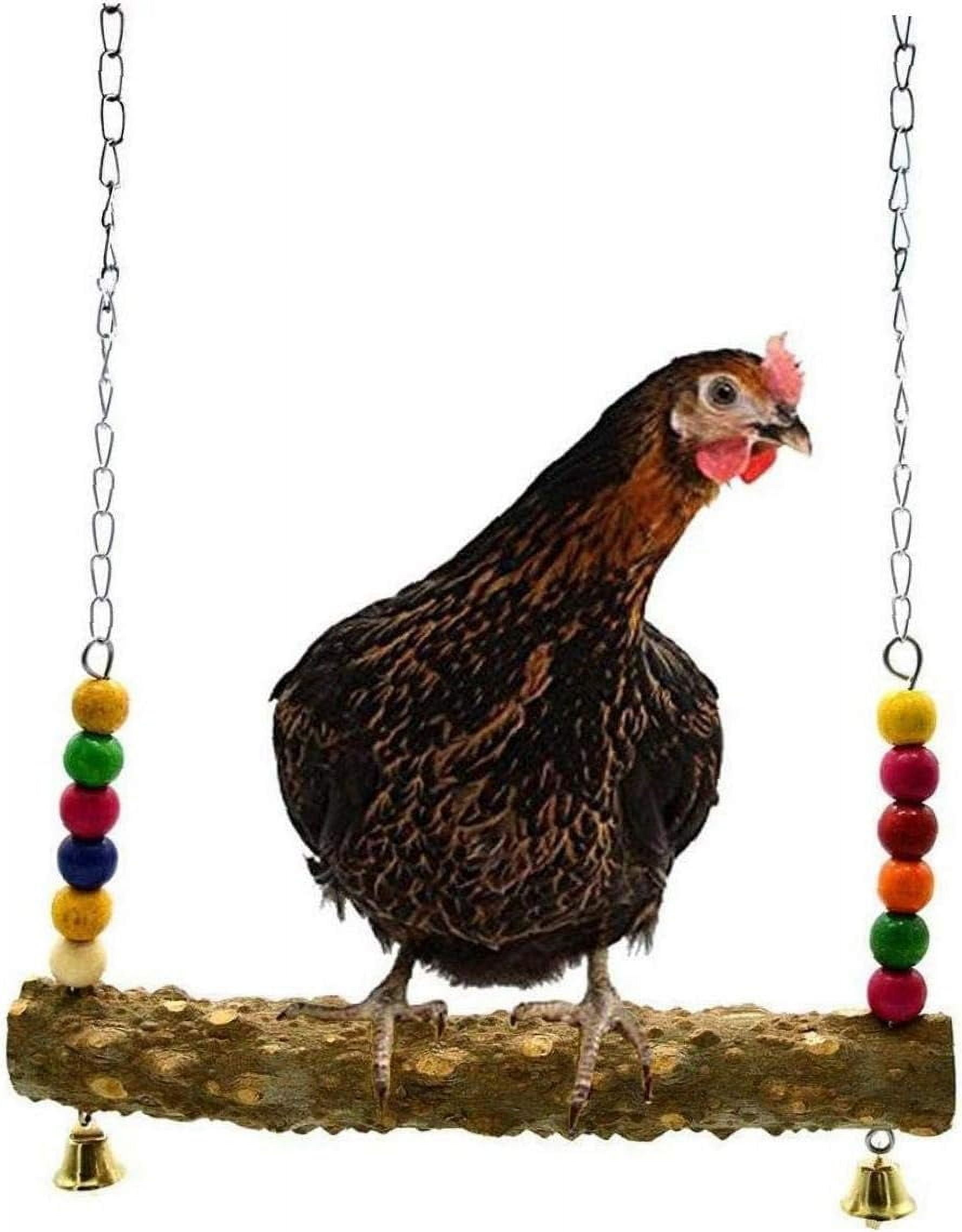 Avian Oasis: Natural Wood Chicken Swing & Perch, Ideal Chicken Coop Toy ...