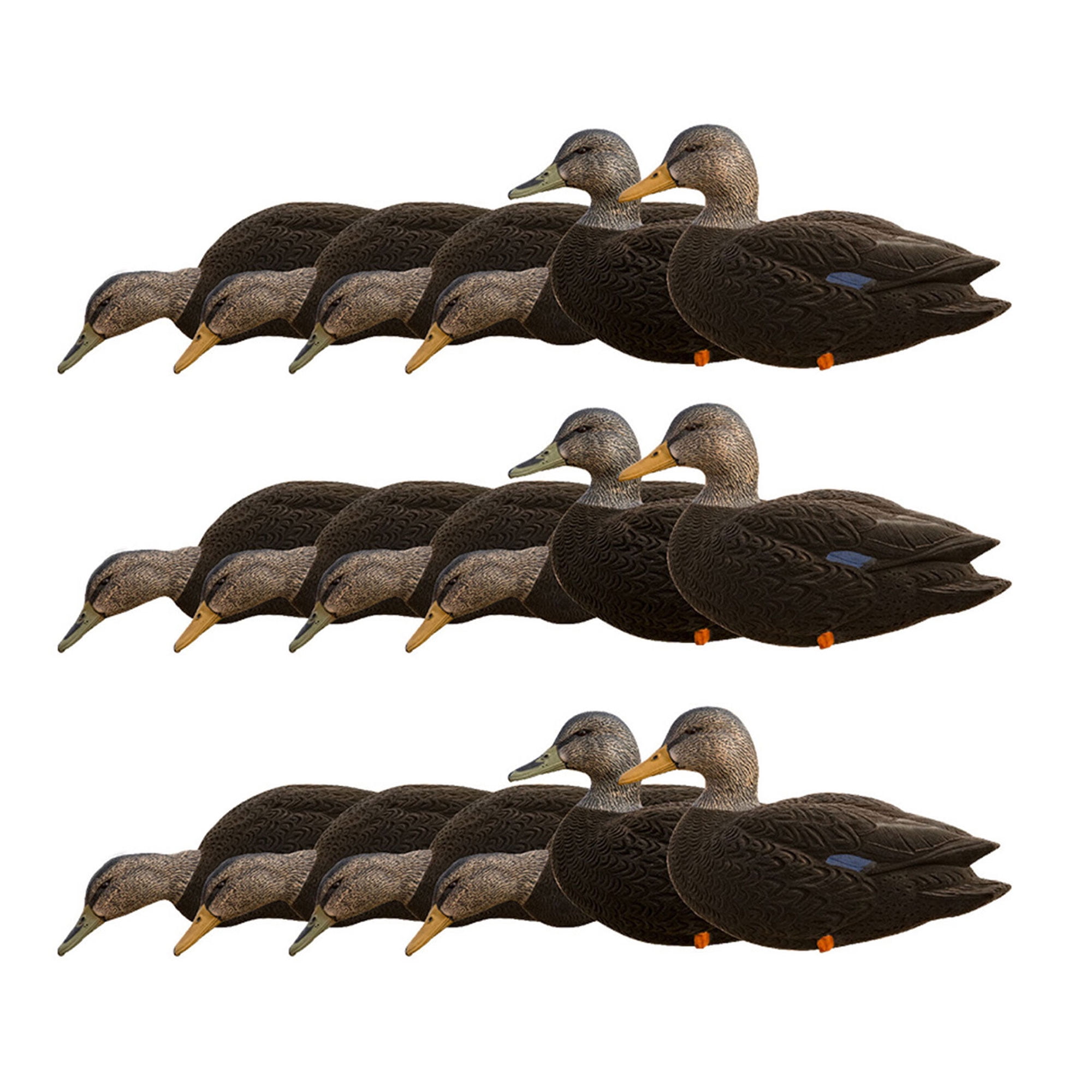 Avian X AXF Flocked Full Body Rugged Black Ducks Fusion Pack, 18 Pack ...
