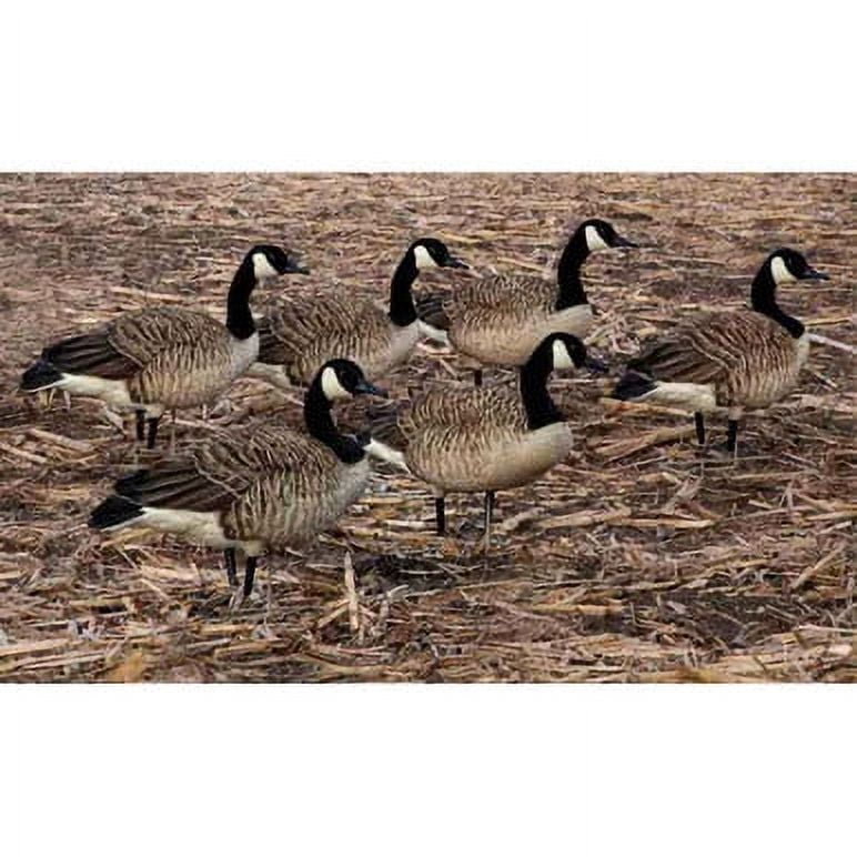 Avian-X AXP Full-Body Painted Canada Goose Decoys, Walkers - Walmart.com