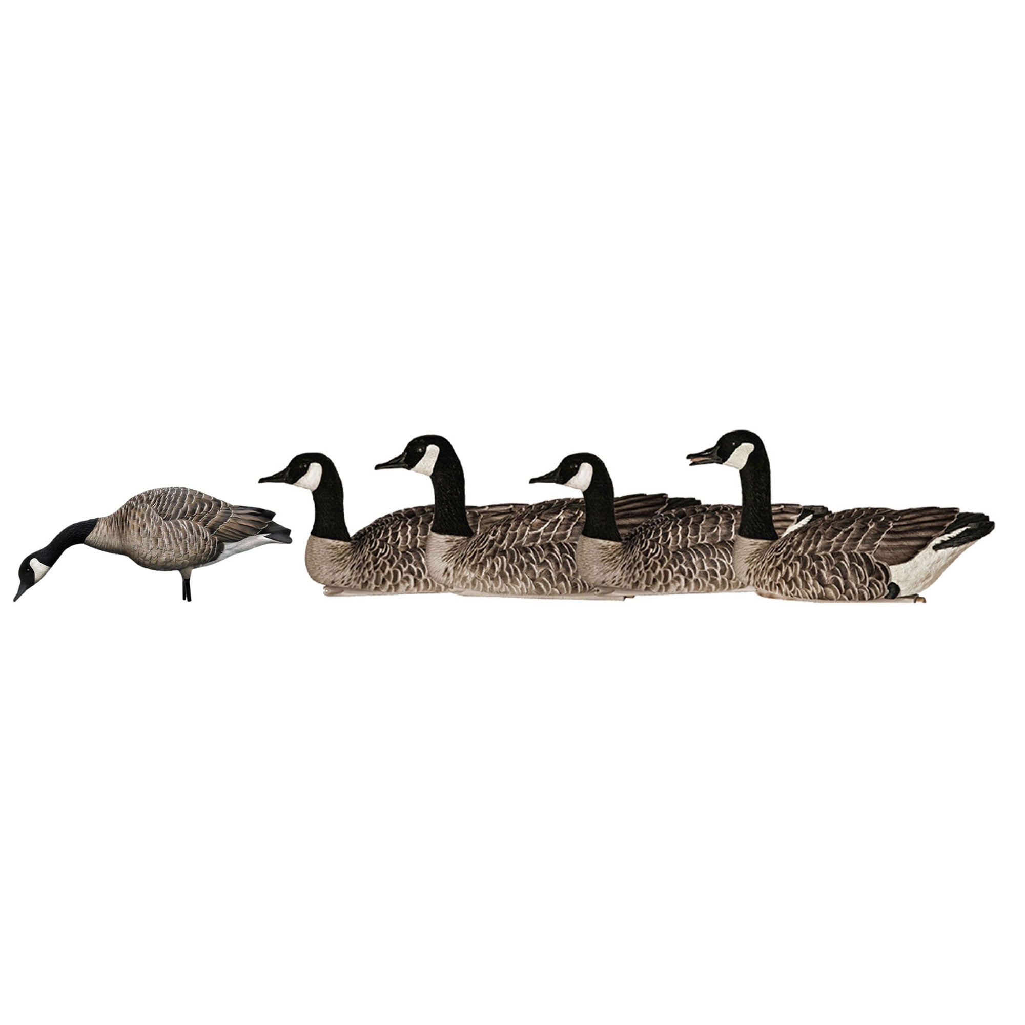 Avian X AXP Honkers Full Body Goose Decoys with Topflight Floaters ...