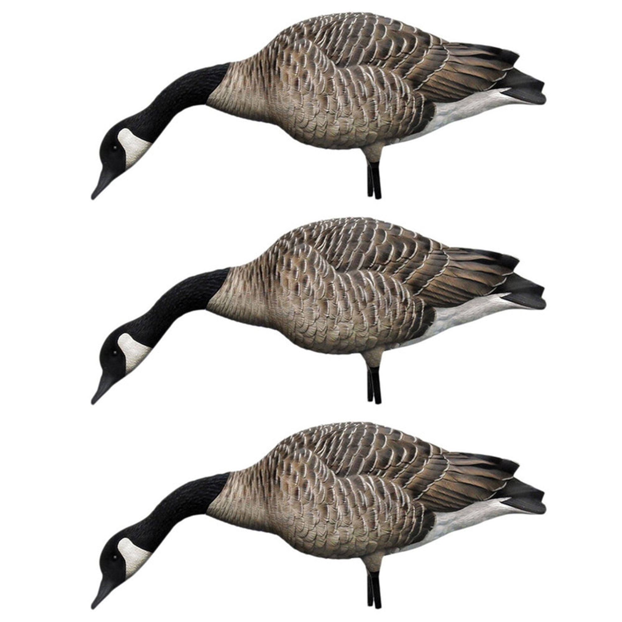 Avian X AXP Honkers Full Body Realistic Canada Goose Decoys, 3 Pack ...