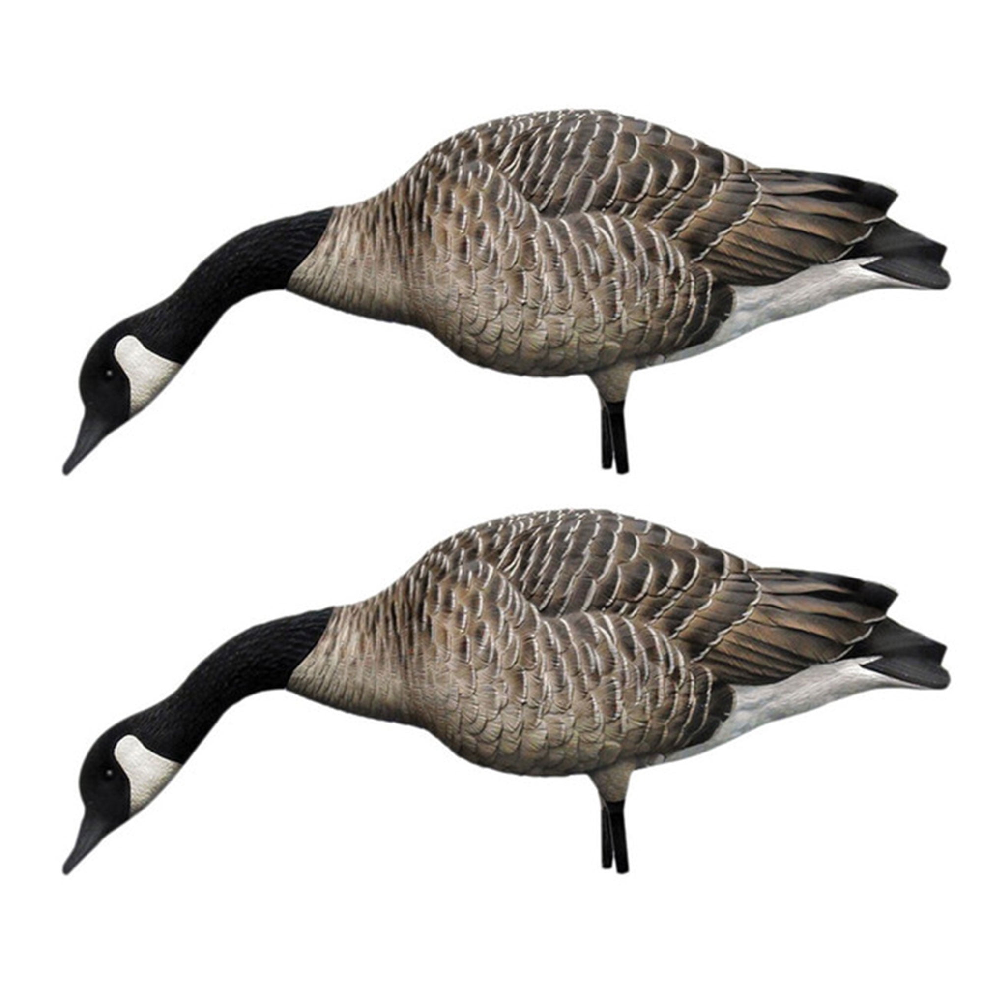 Avian X AXP Honkers Full Body Realistic Canada Goose Decoys Pack, 2 ...