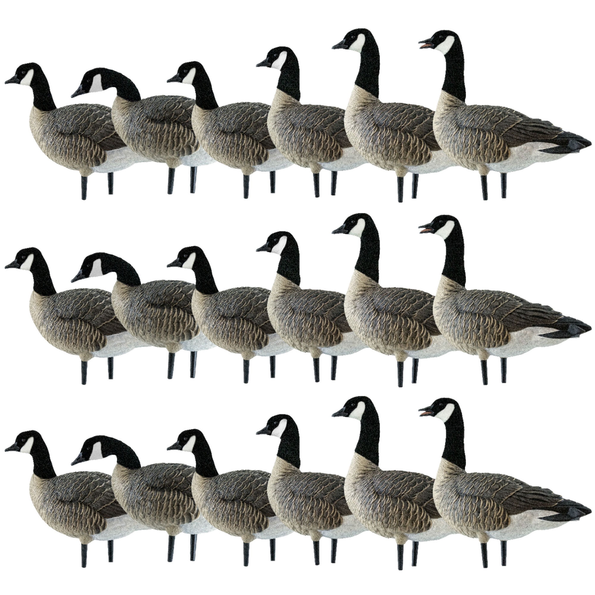 Avian X AXP Honkers Fusion Pack Lesser Canada Goose Decoys, 3 Pack ...