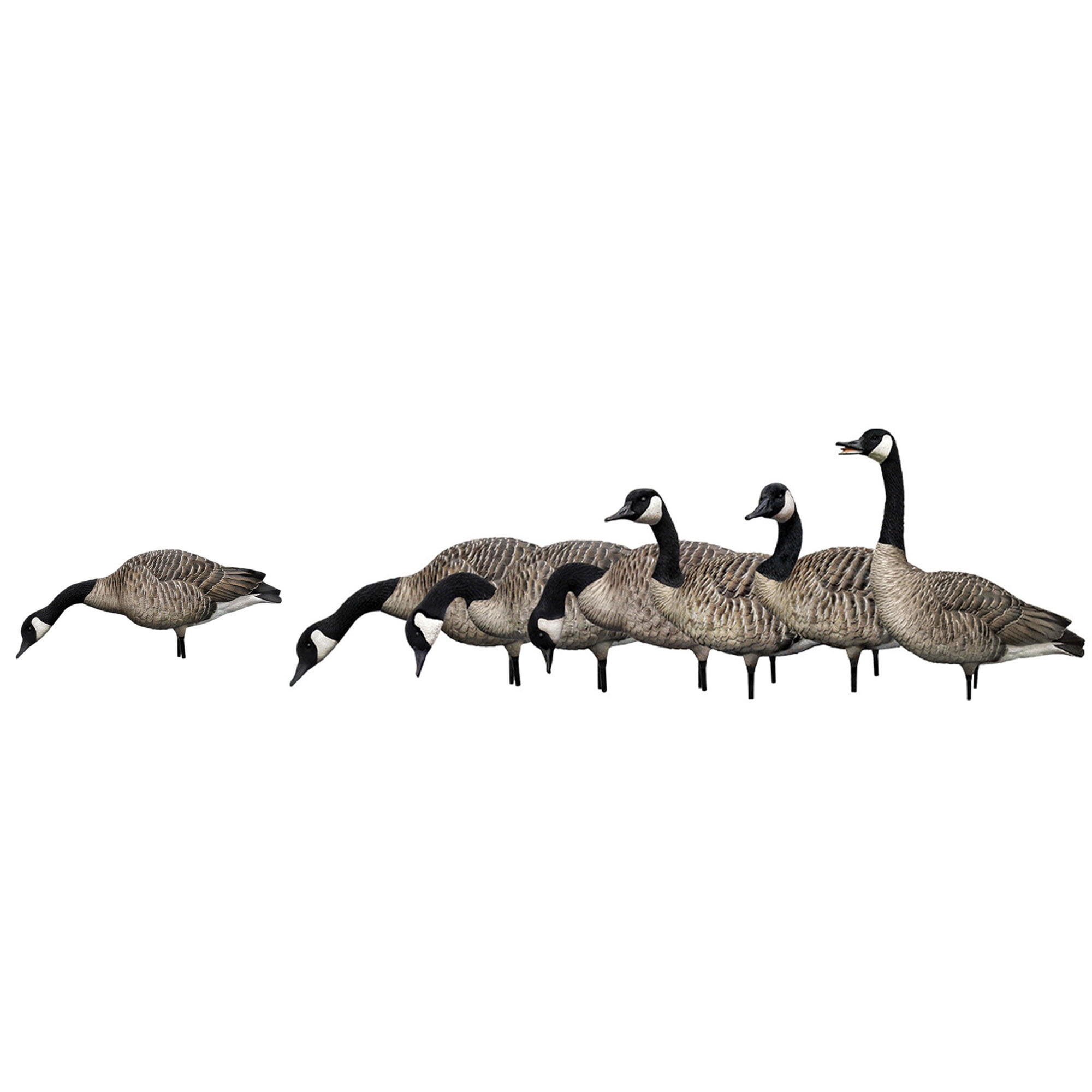 Avian X AXP Honkers Goose Decoy with AXP Full Body Canada Goose Decoys ...