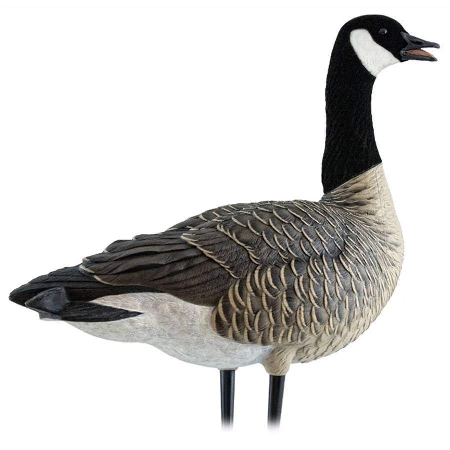 X Goose Decoy Spreads