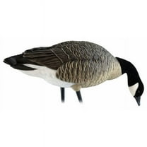 Avian X AXP Fusion Honker Hunting Game, Goose Decoy Pack with 6 Canada ...